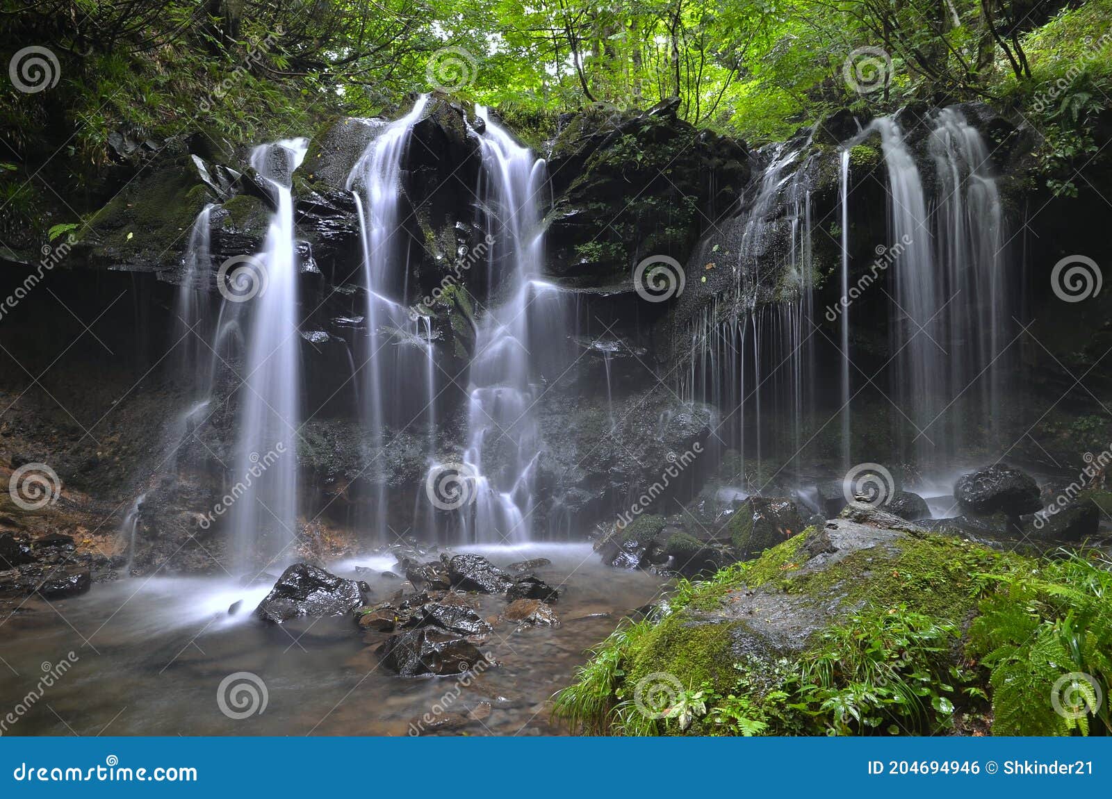 Waterfall in the Green Forest Stock Photo - Image of beautiful, forest ...