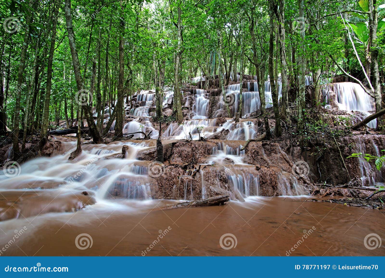 Waterfall in green forest stock image. Image of mountain - 78771197