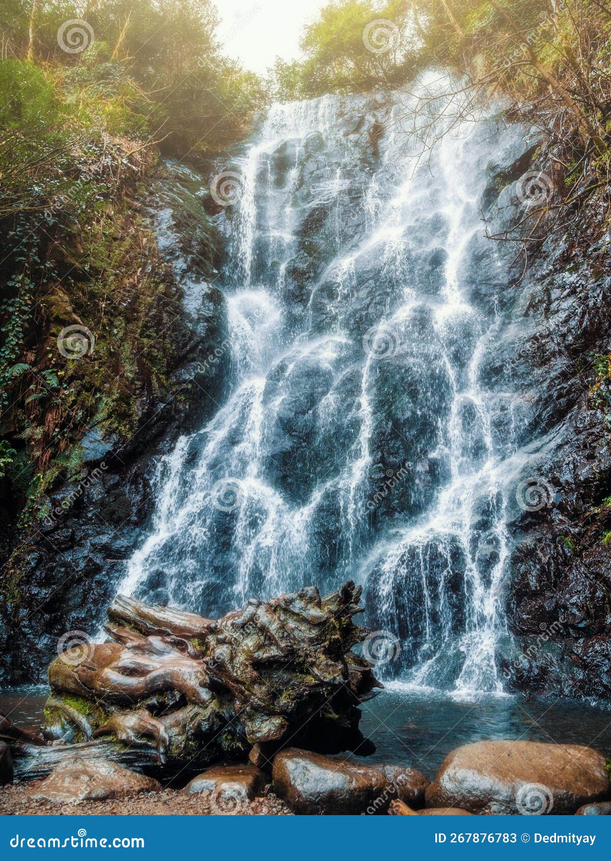 Waterfall in Green Forest. Mountain Cascade River Splashing on Rock ... Waterfall in Green Forest. Mountain Cascade River Splashing on Rock ...