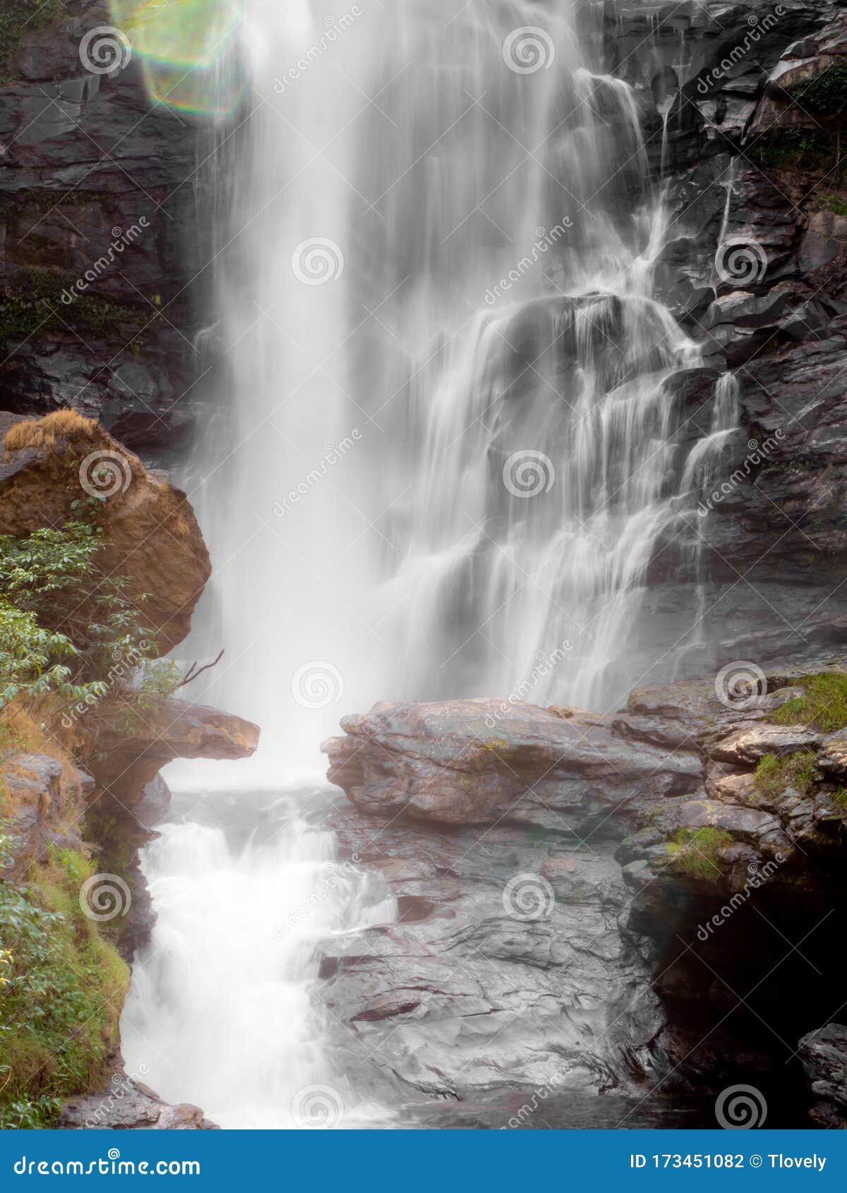 Waterfall Green Forest River Stream Landscape Stock Photo - Image of ...