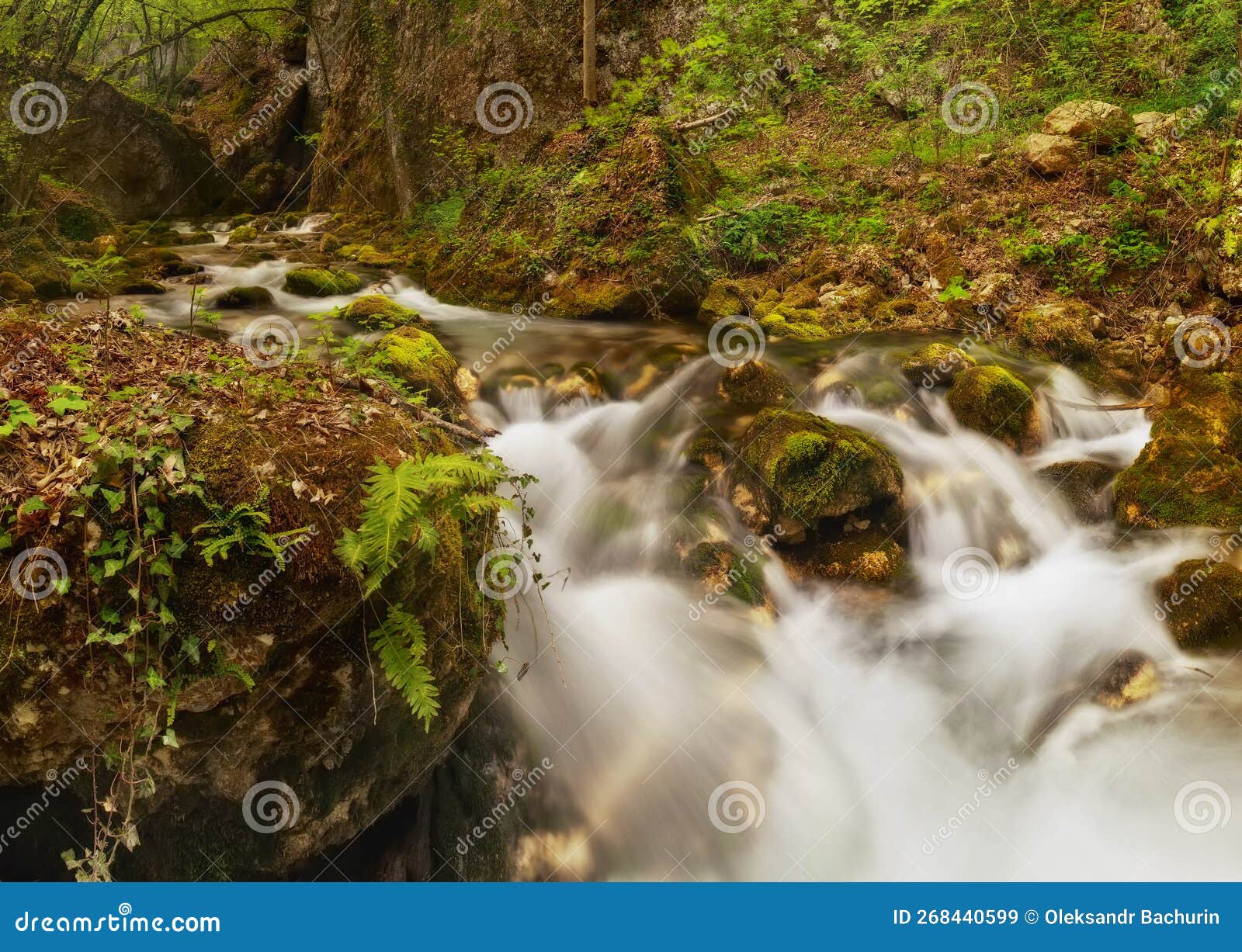 Gorgeous Waterfall in Green Forest, Mountain River Stream, Creek. Stock ...