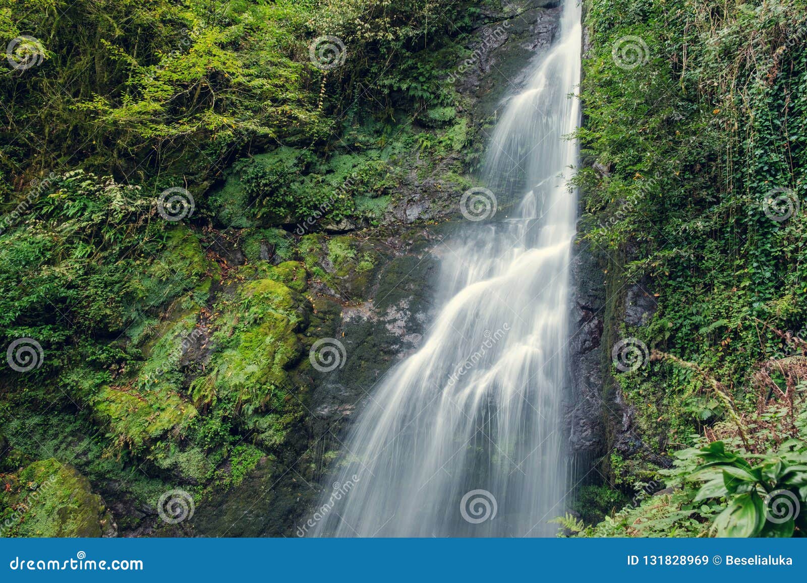 Waterfall stock image. Image of park, stream, environment - 131828969