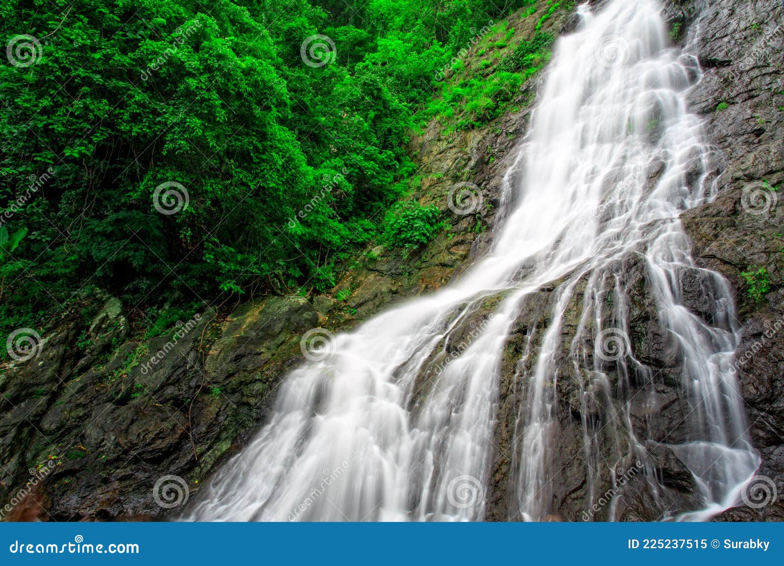 Waterfall and green tree stock image. Image of landscape - 225237515