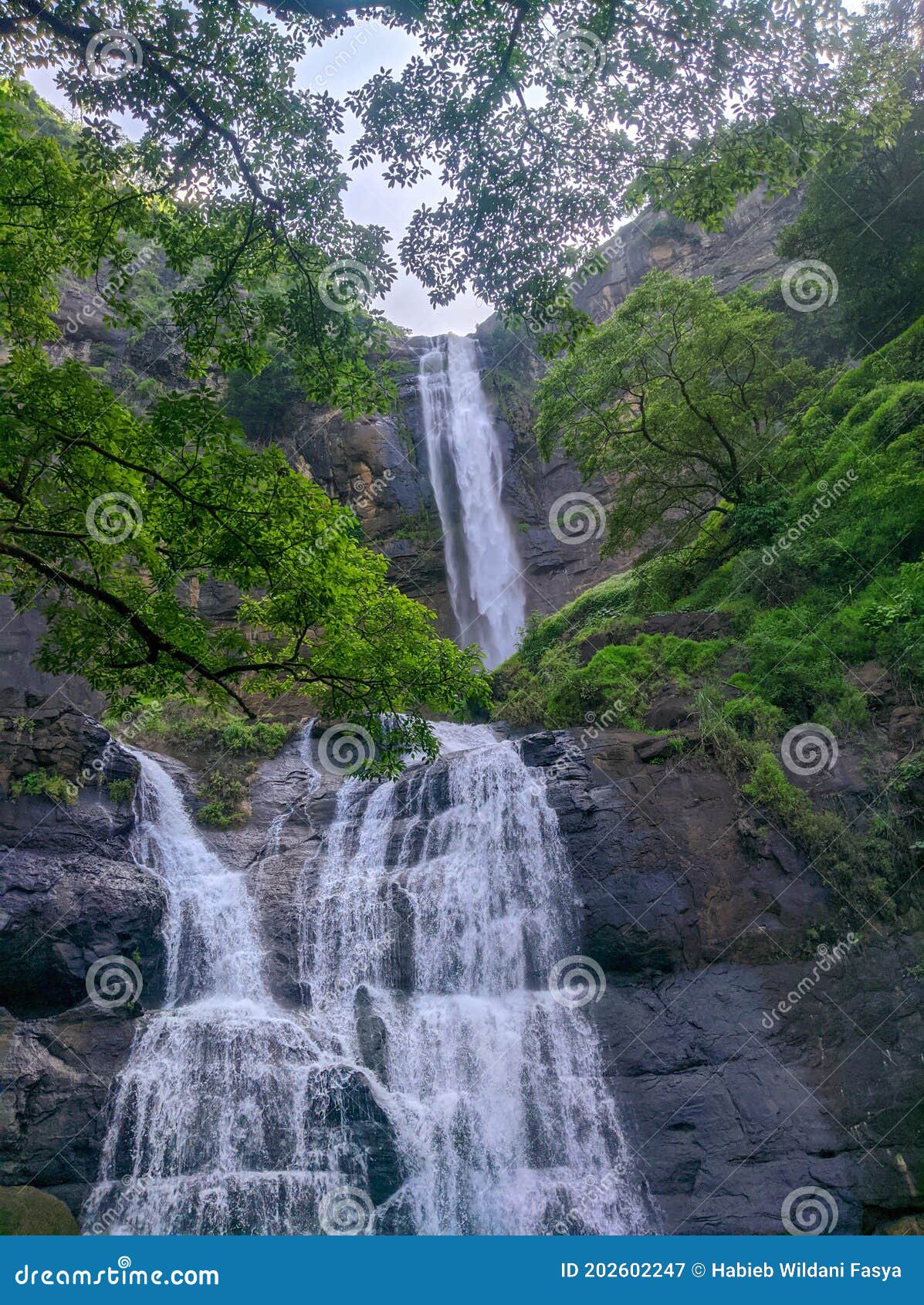 Waterfall with Green Trees stock image. Image of drowning - 202602247