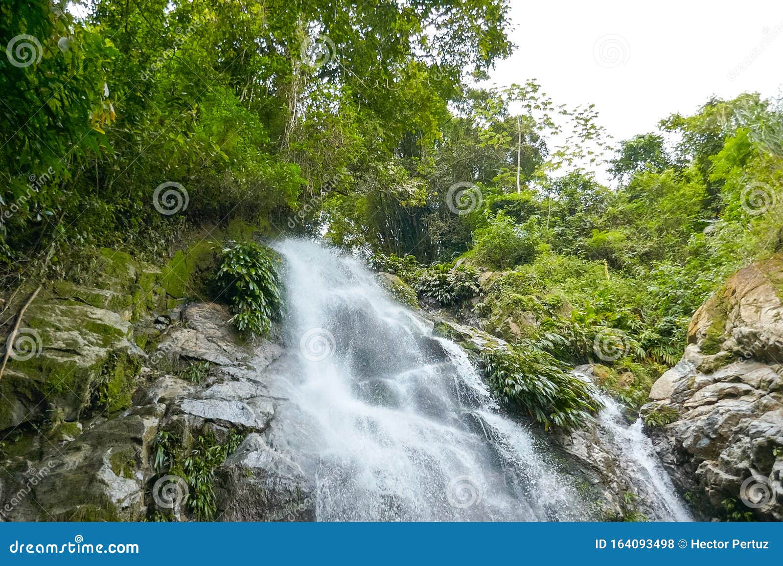 Waterfall with green trees stock photo. Image of exotic - 164093498