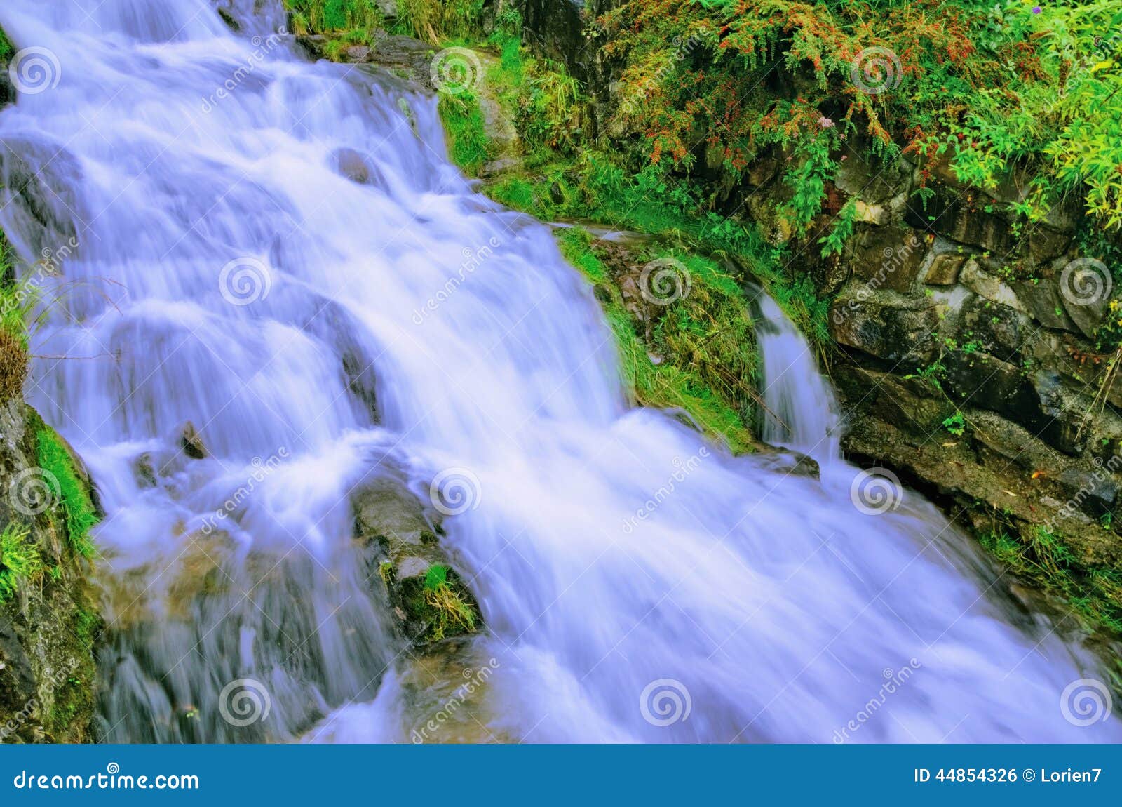 Waterfall with Green Vegetation Stock Photo - Image of water, fresh ...