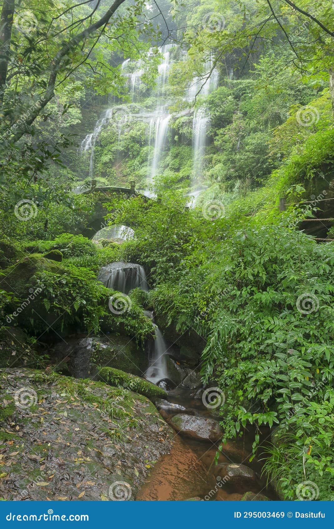 Waterfall Group through Ancient Stone Bridge in Forest Stock Image ...