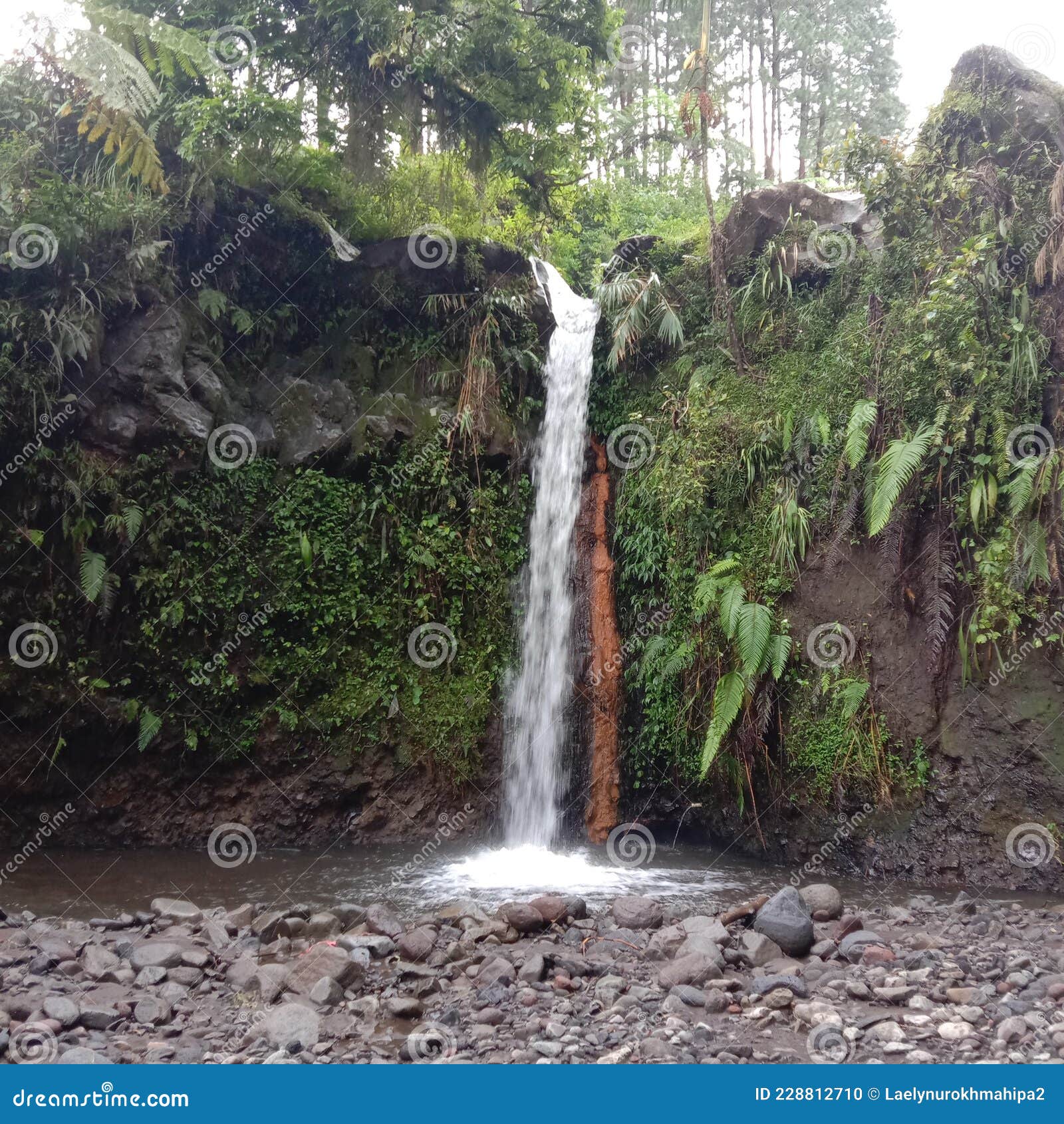 Waterfall in Guci, Tegal, Called Curug. Stock Photo - Image of jungle ...