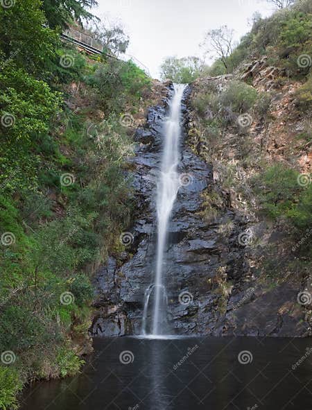 Waterfall Gully stock photo. Image of landmark, fall - 26438590