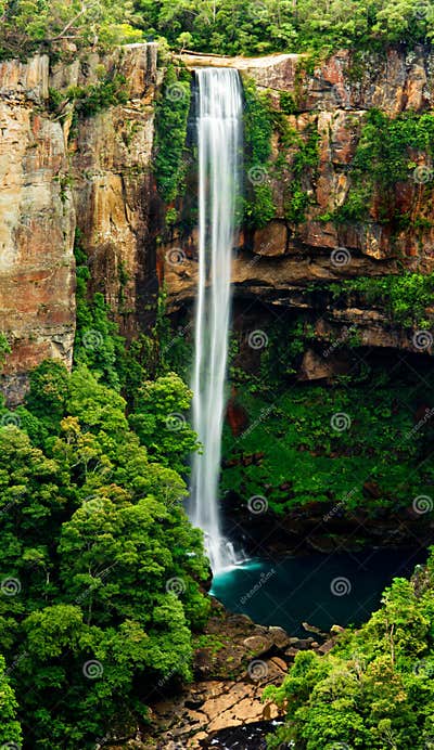 Waterfall Heaven stock image. Image of growth, leaves - 4547833