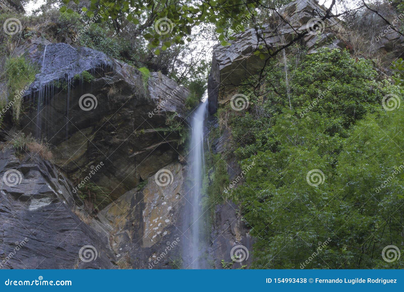 Water Fall from the Heights Stock Photo - Image of gray, green: 154993438