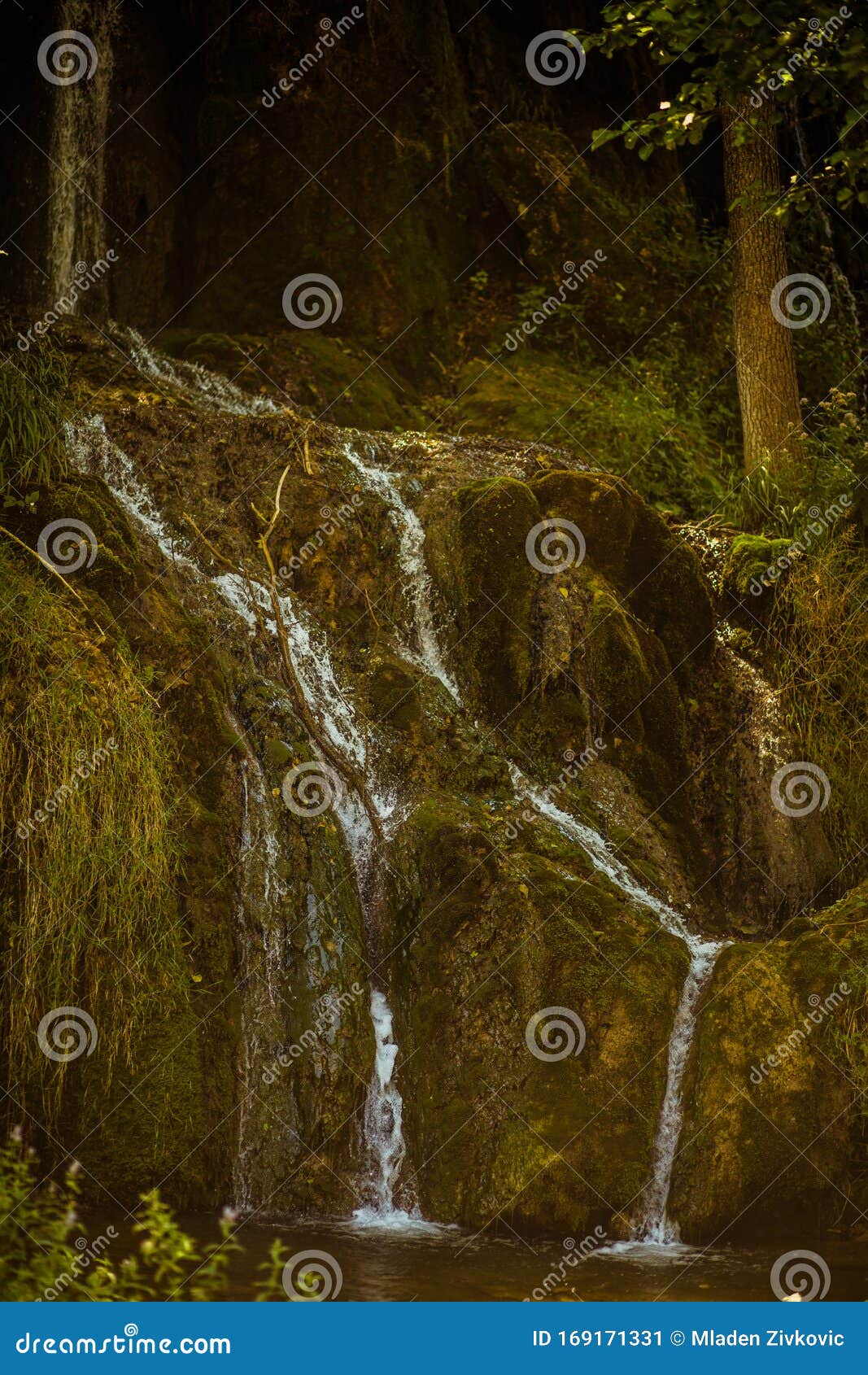 Waterfall Hidden in the Forest Stock Image - Image of peaceful, space ...
