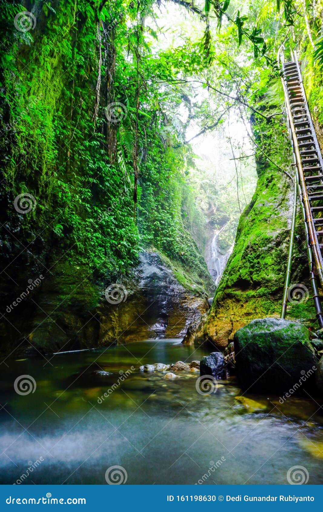 Waterfall Hidden in the Tropical Jungle. Bogor, West Java, Indonesia ...