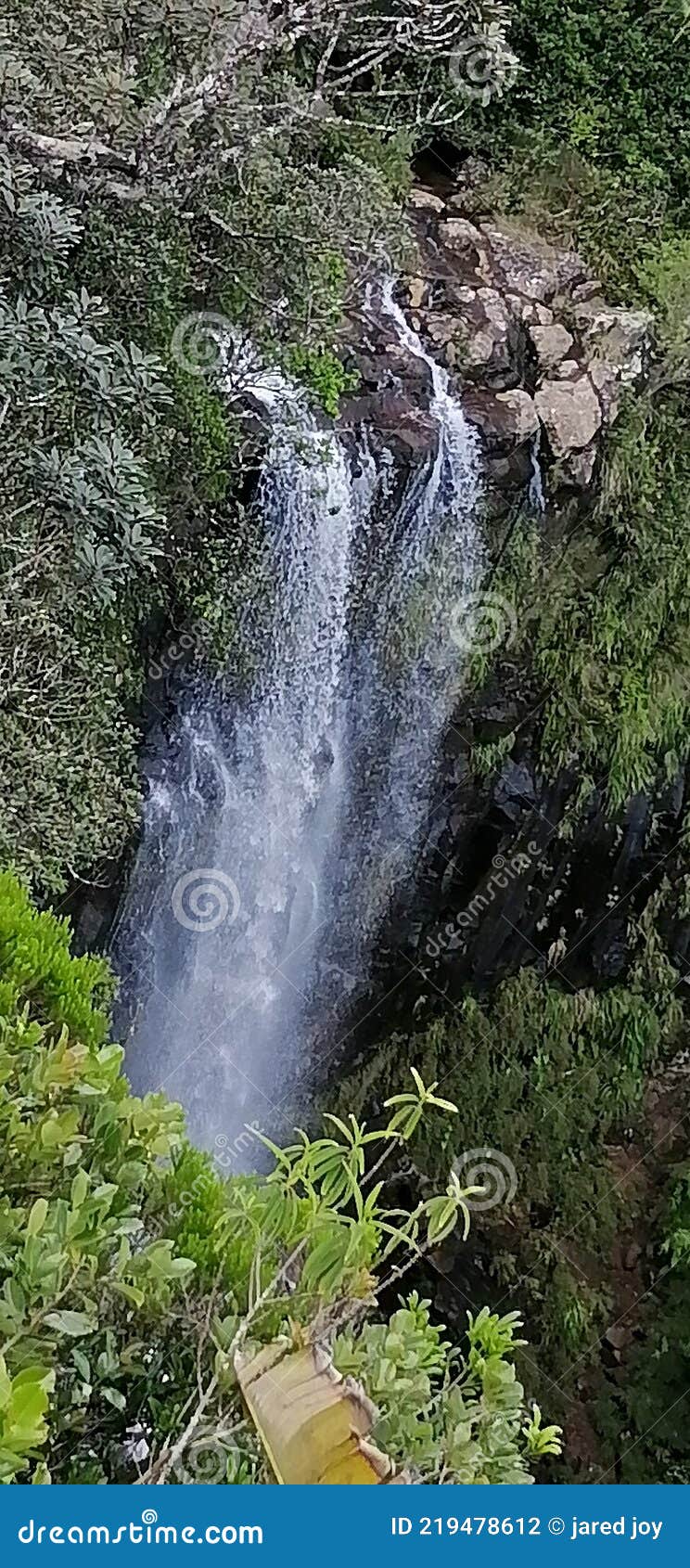 Waterfall from the High Angle Stock Photo - Image of forest, ravine ...