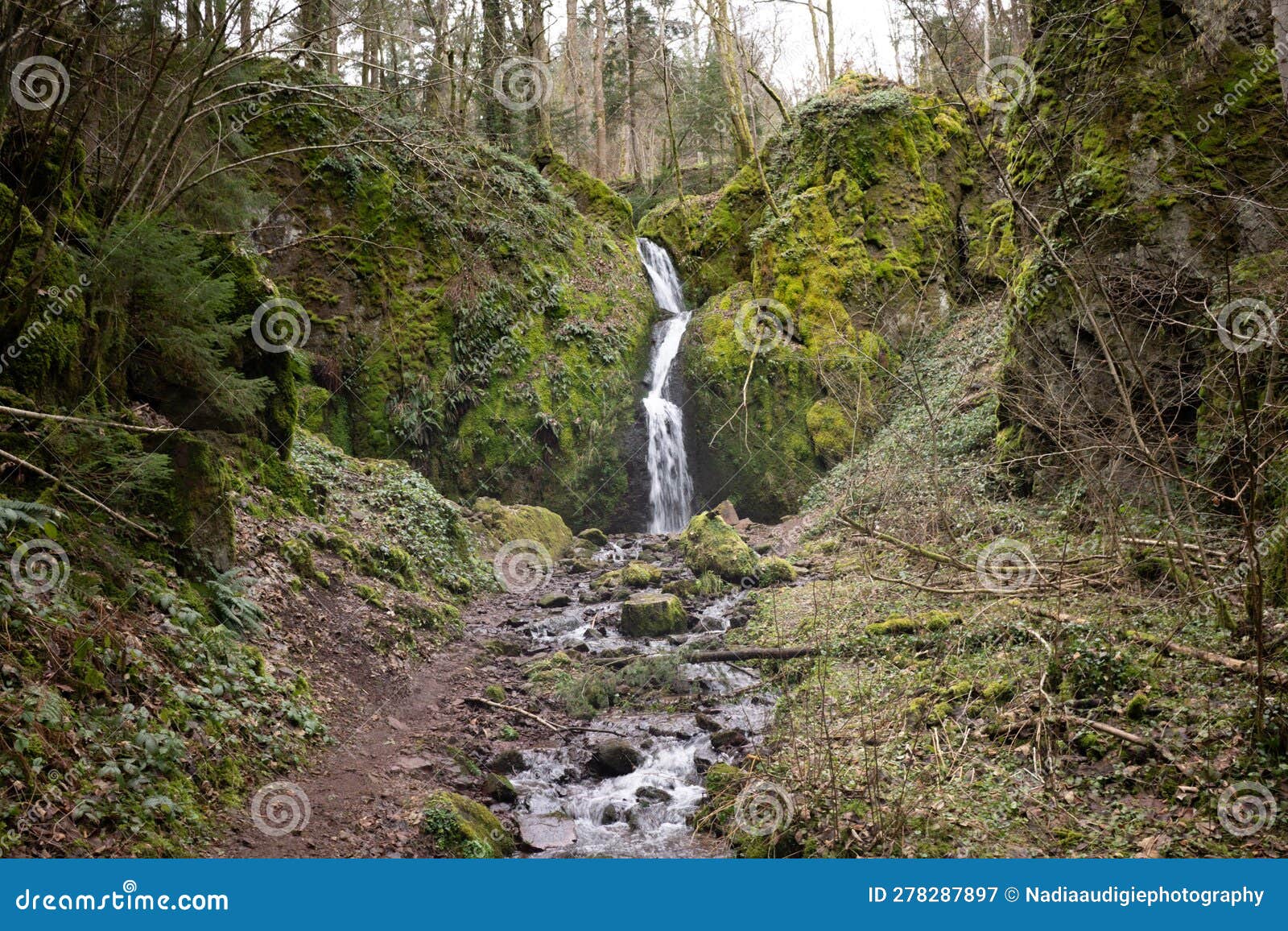 Waterfall on a Hiking Trail Stock Image - Image of landscape, trail ...