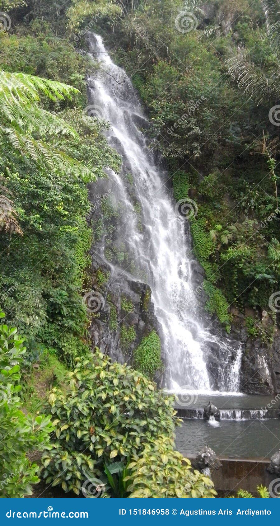 Waterfall on a hill stock photo. Image of trees, hill - 151846958