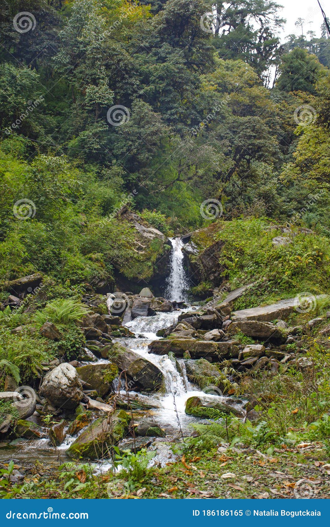 Waterfall in Himalaya Mountains Nepal Beautiful Landscape Stock Image ...
