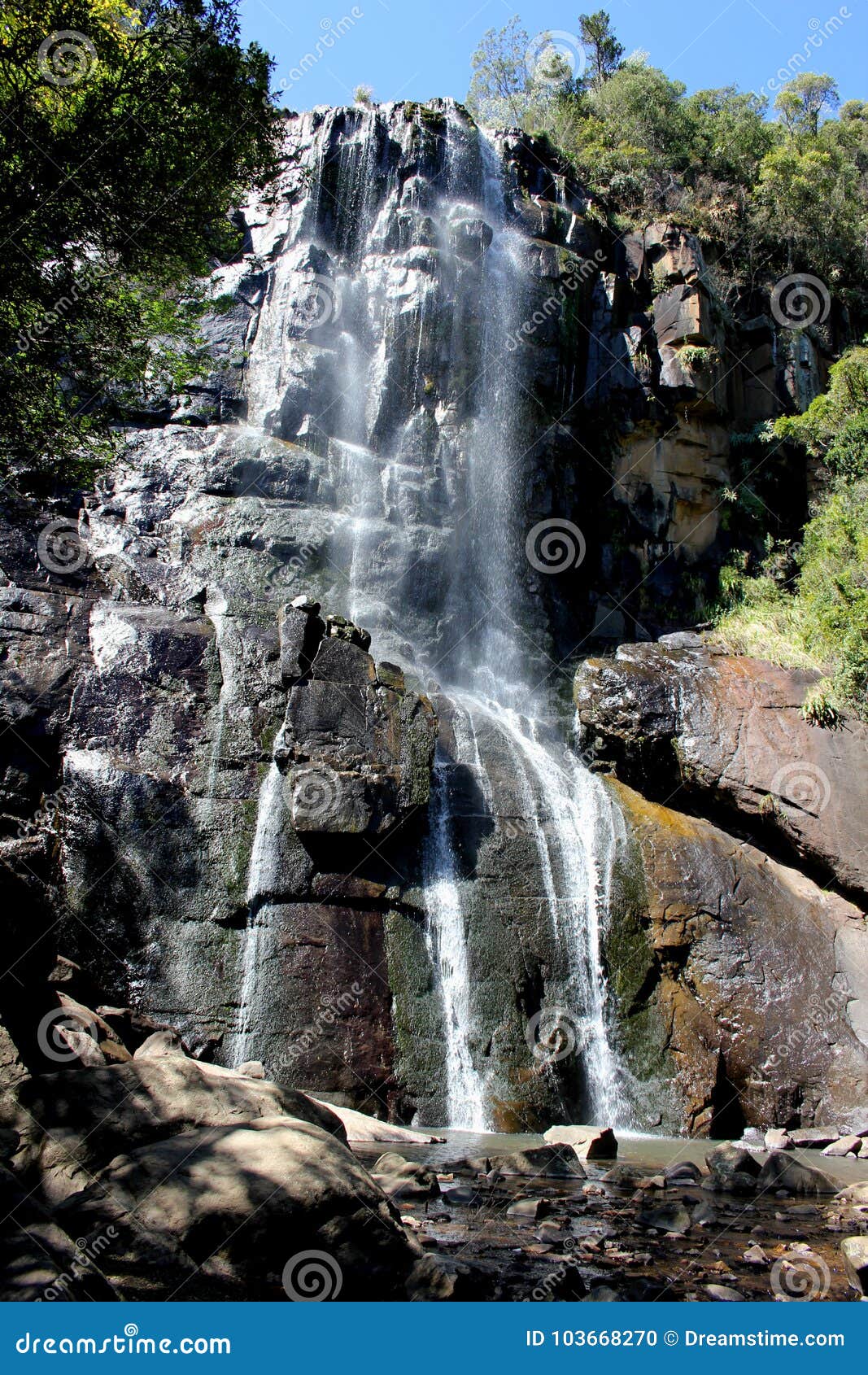 Waterfall in Hogsback area stock photo. Image of maddona - 103668270