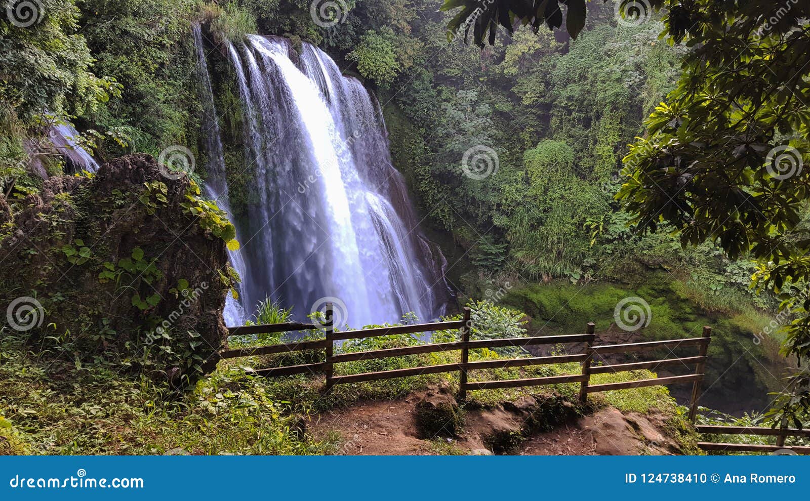 Waterfall in Honduras stock photo. Image of forest, honduras - 124738410