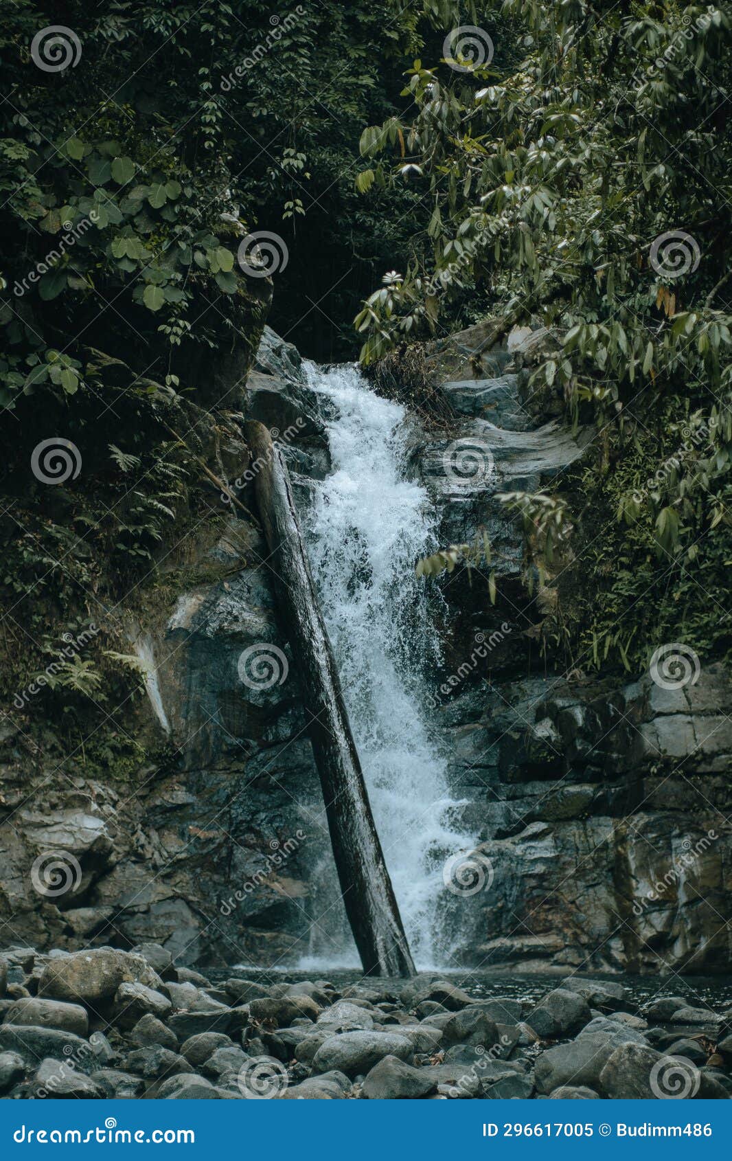 Waterfall inland stock image. Image of south, nature - 296617005