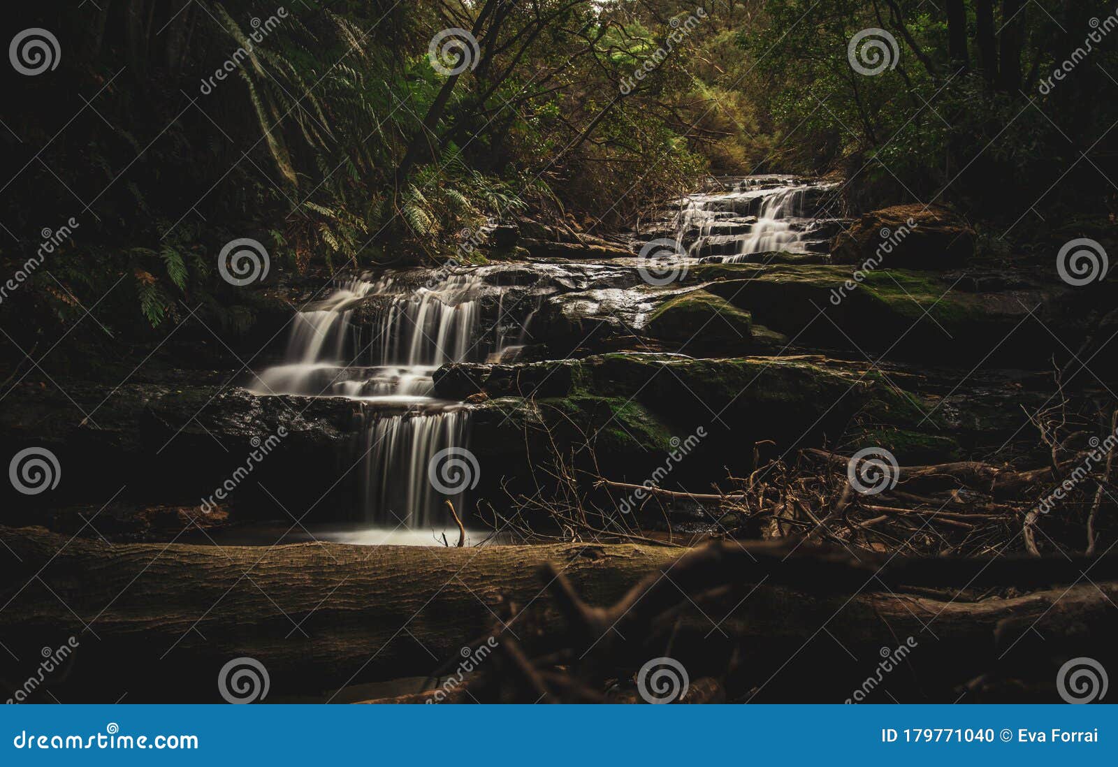 Waterfall Inside a Forest in Color Stock Photo - Image of long, trees ...