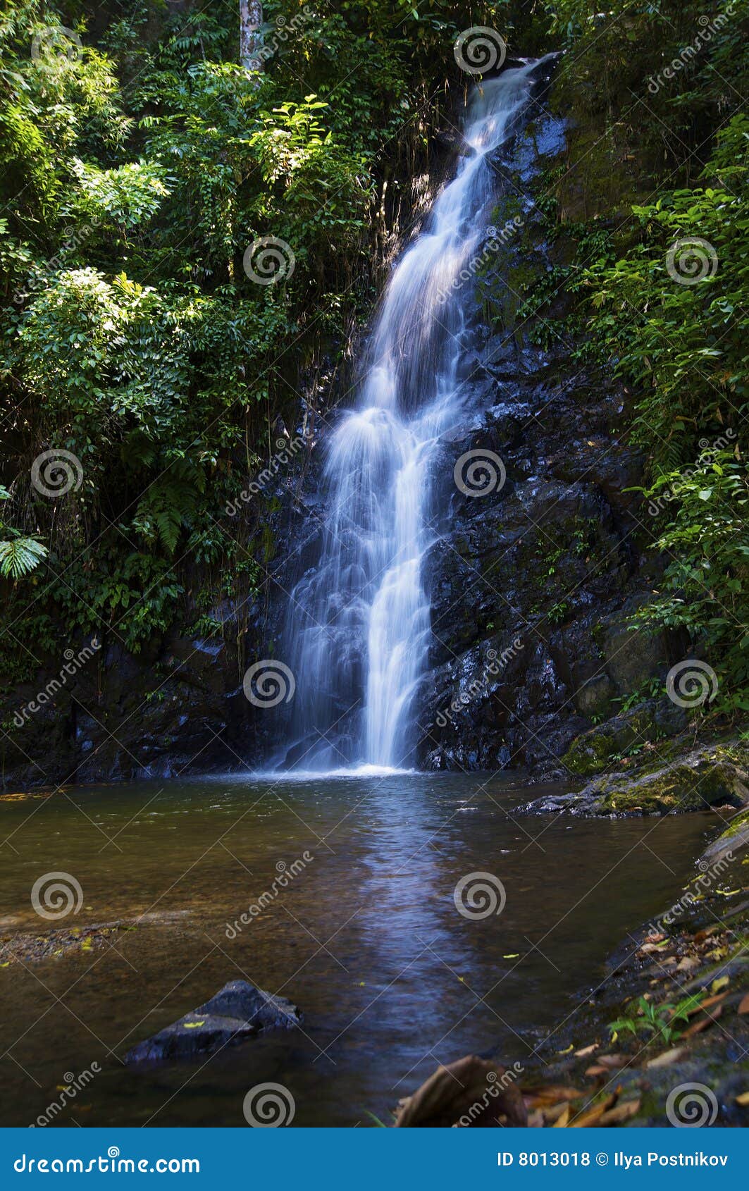Waterfall on the island stock photo. Image of falling - 8013018