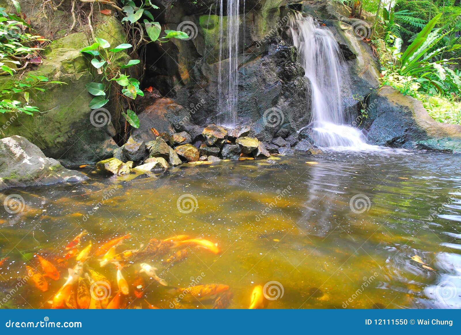 Waterfall with Japanese Carp Stock Photo - Image of singapore, fish ...