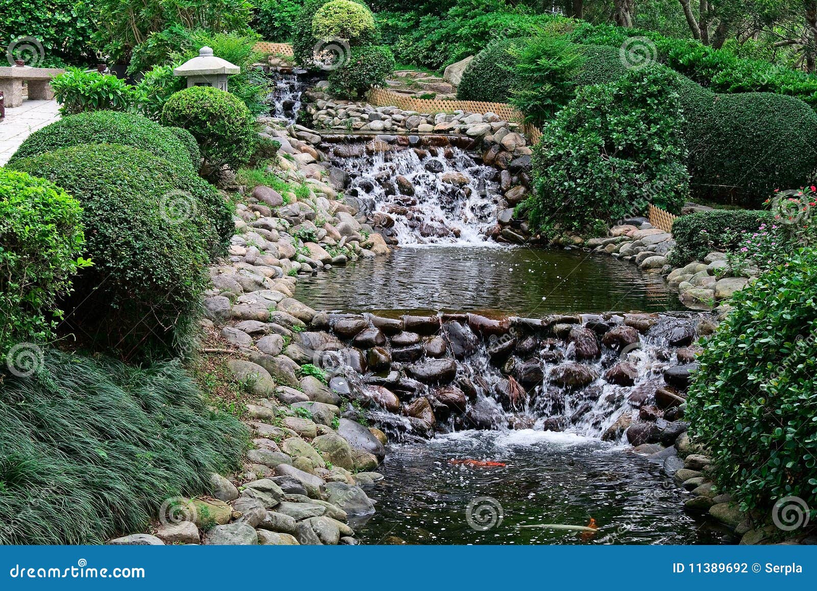 Waterfall in Japanese Garden Stock Photo - Image of park, perennial ...