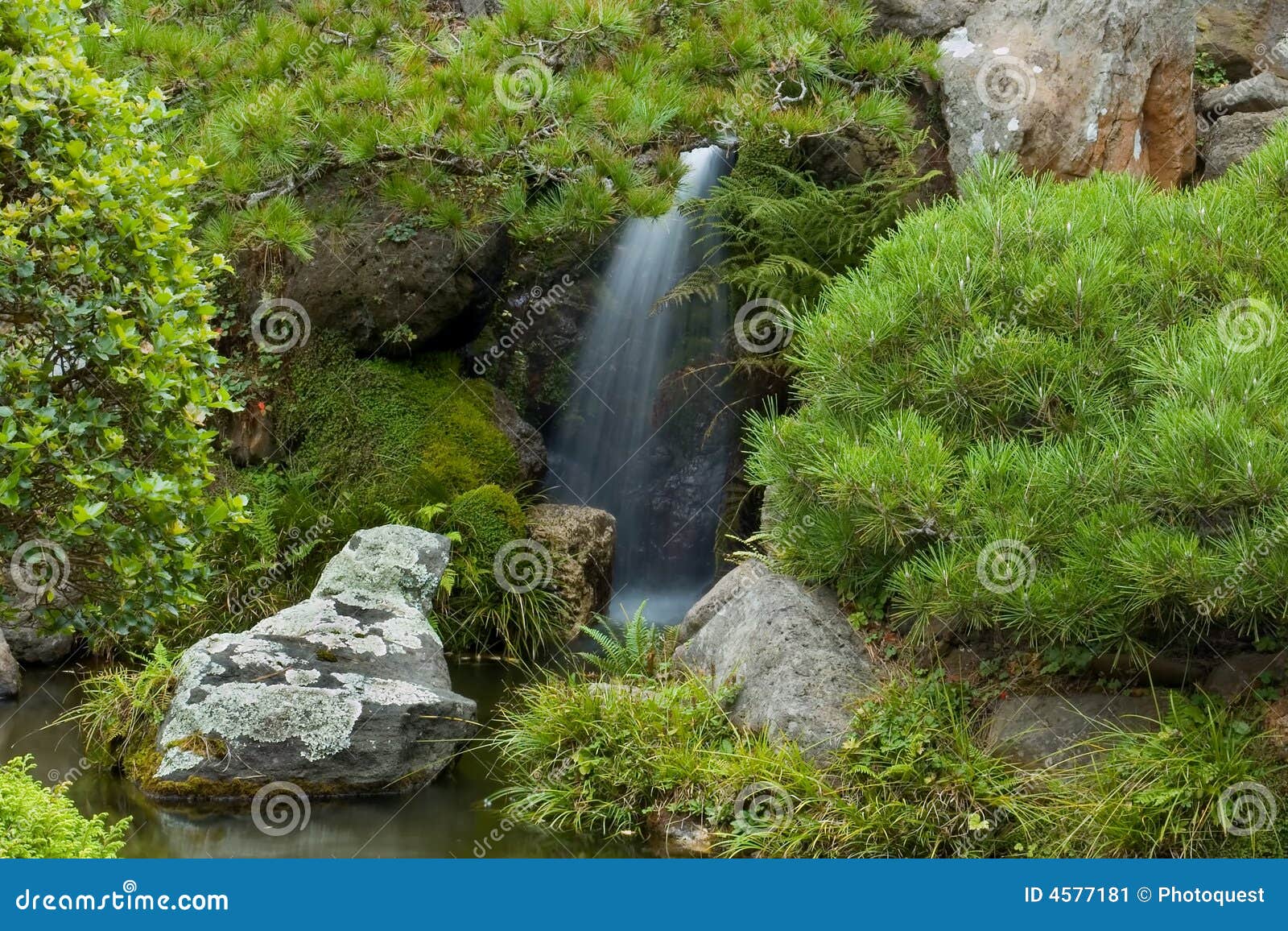 Waterfall in Japanese Tea Garden Stock Image - Image of fall, lake: 4577181