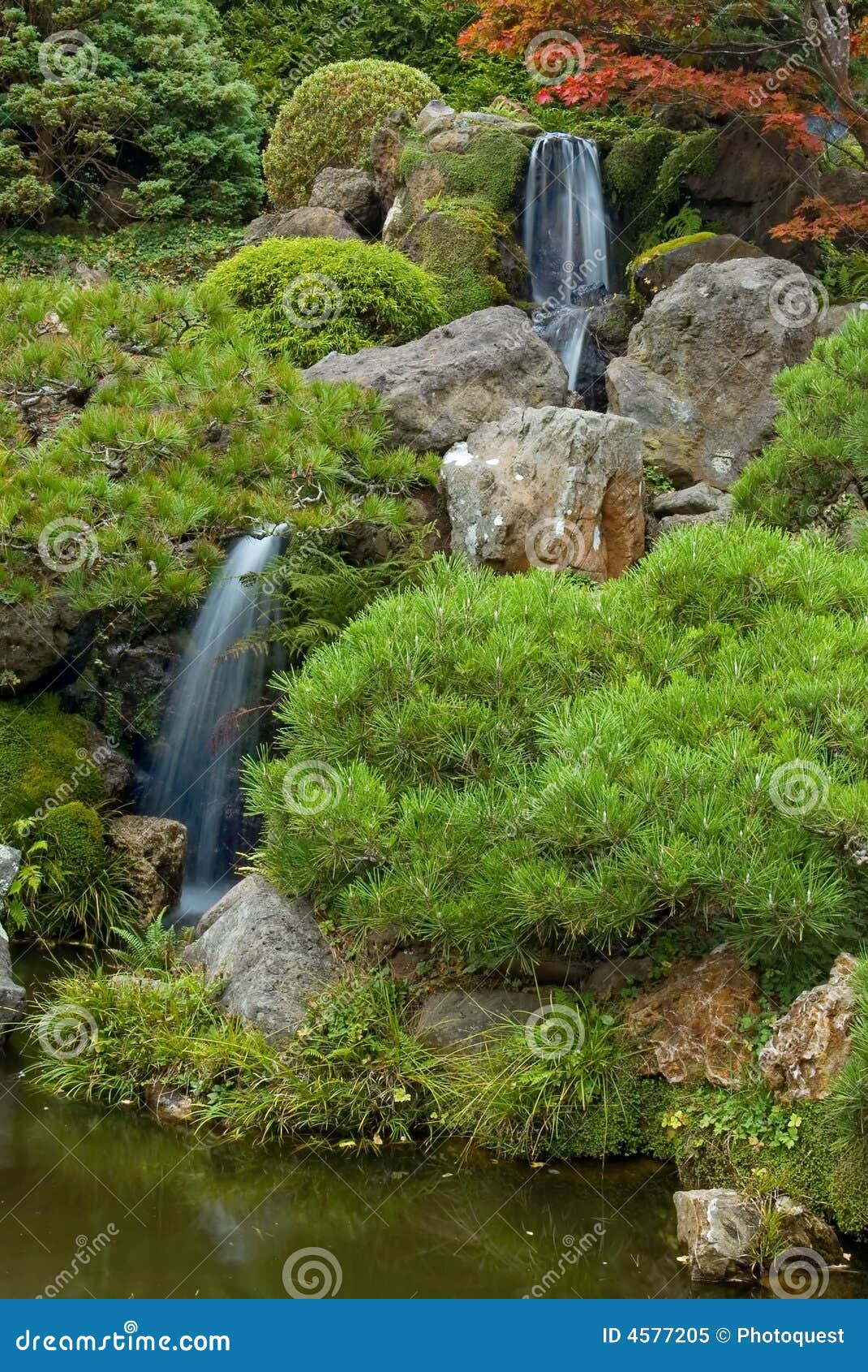 Waterfall in Japanese Tea Garden Stock Image - Image of rock, garden ...