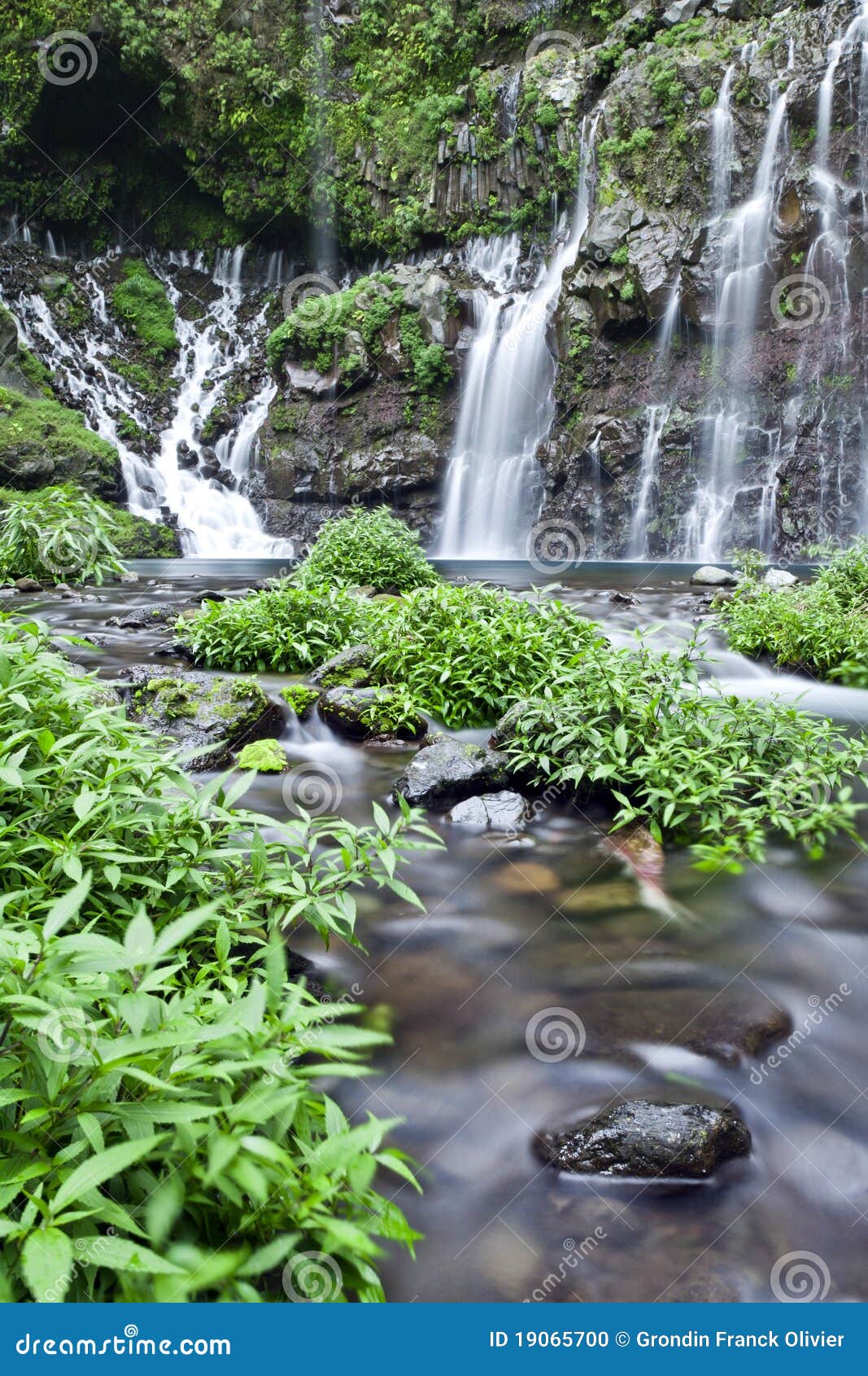 Waterfall in jungle stock photo. Image of descends, scenery - 19065700