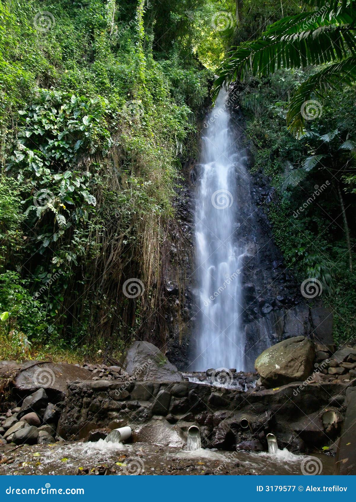 Waterfall in jungle stock image. Image of freshness, landscape - 3179577
