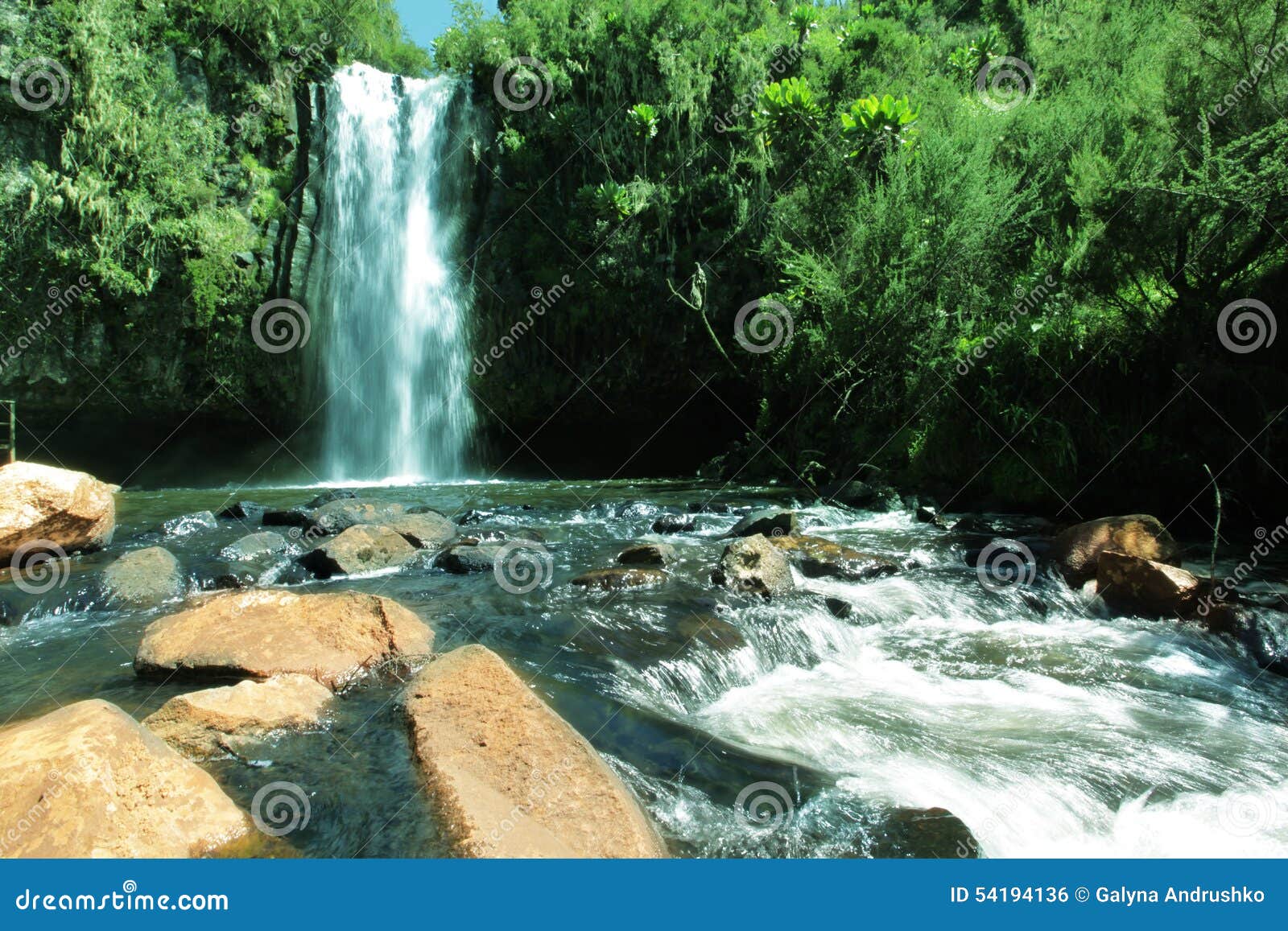 Waterfall in jungle stock photo. Image of waterfall, cascade - 54194136