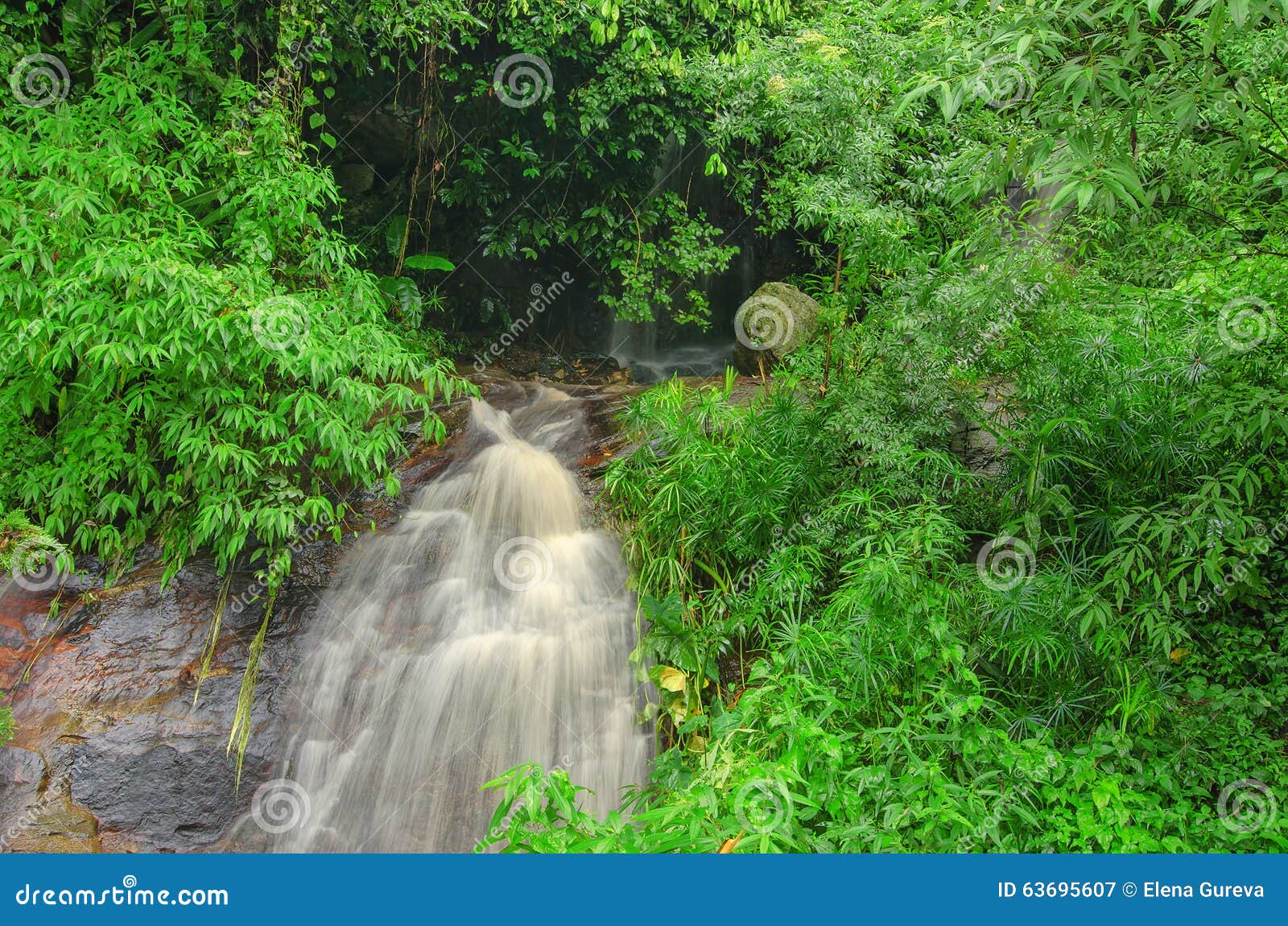 Waterfall in Jungle at Chiang Rai, Thailand. Stock Image - Image of ...