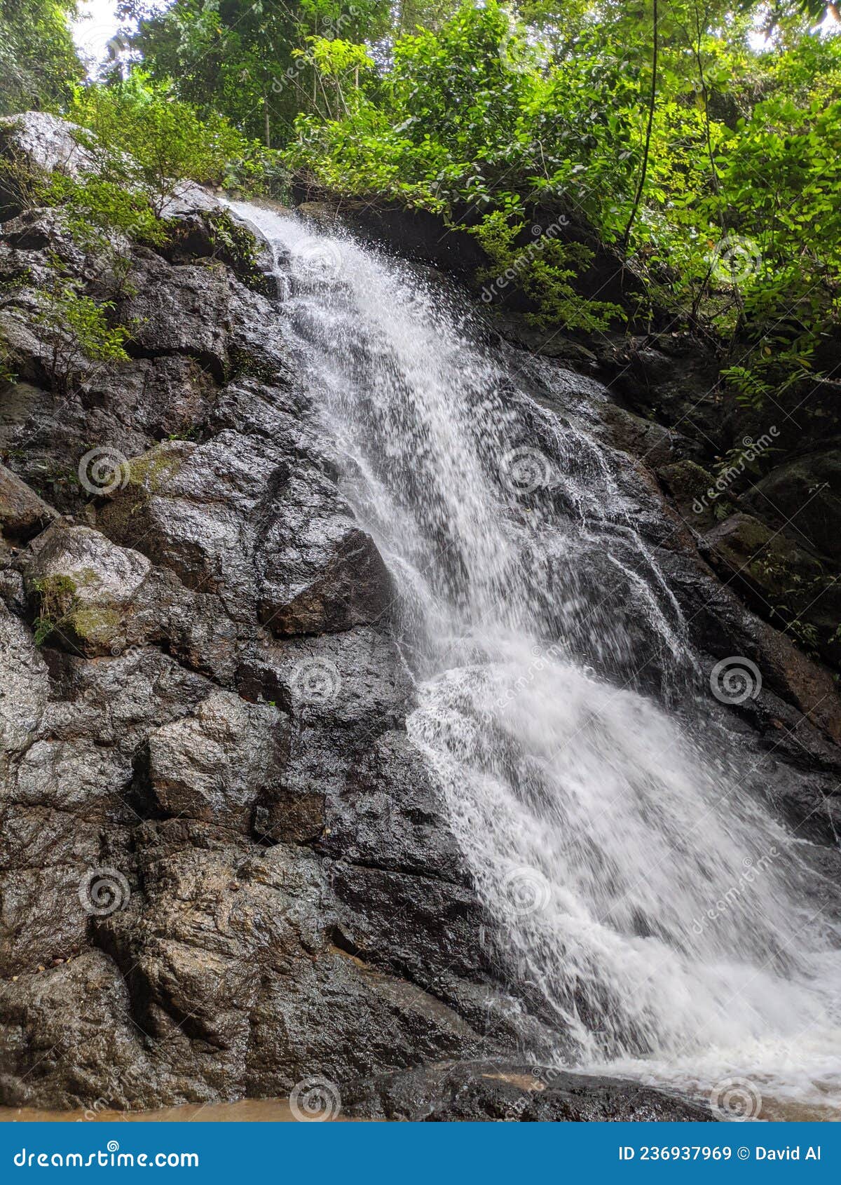 Waterfall in the Jungle of Kalimantan Stock Image - Image of stream ...