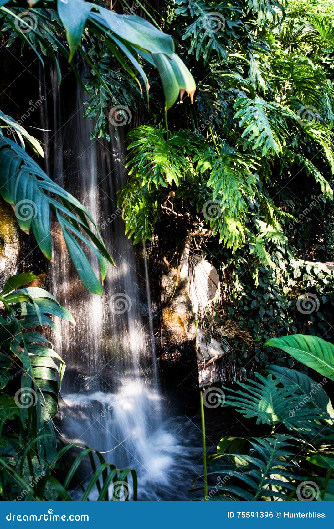 Waterfall In The Jungle With Rocks In The River With Blue Sky Royalty ...