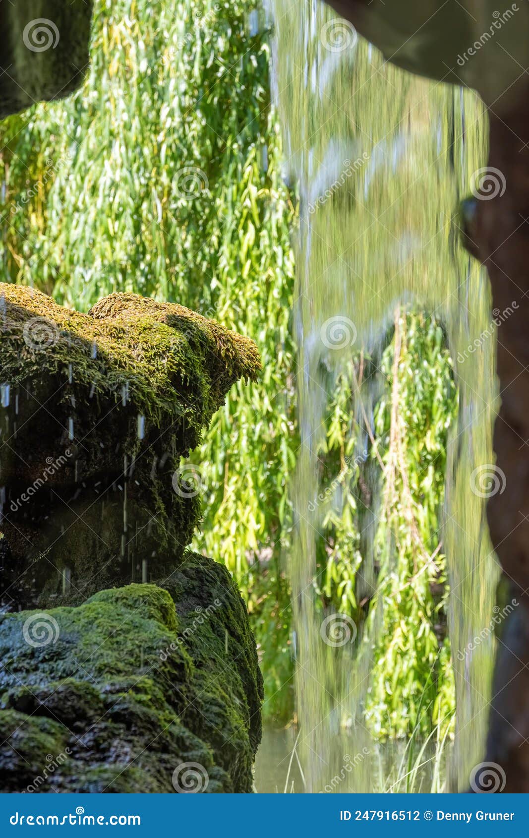 A Waterfall in a Jungle with Rocks Stock Photo - Image of nature ...