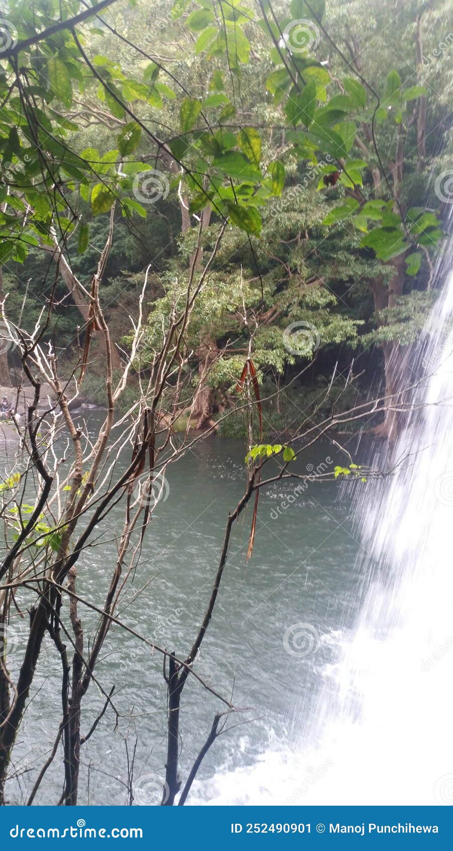 Waterfall with jungle stock image. Image of waterfall - 252490901