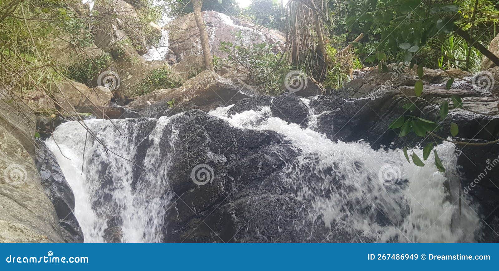 Waterfall stock image. Image of rock, jungle, waterway - 267486949