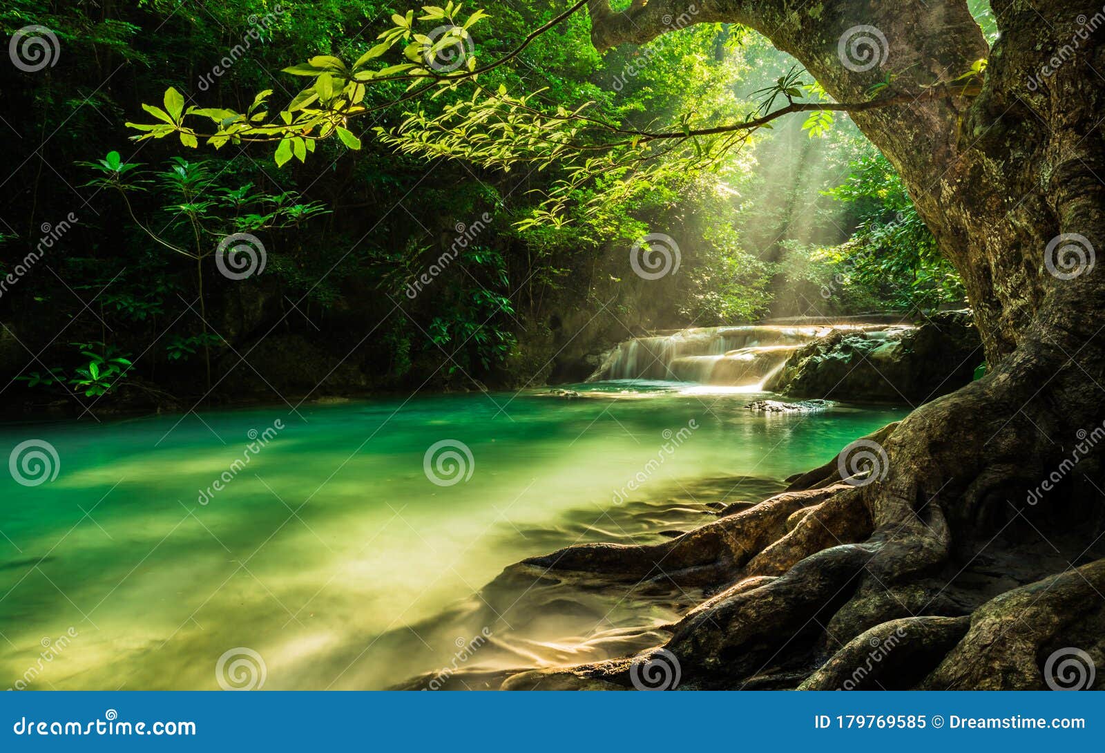 Waterfall In Jungle - Kerala, India Stock Image | CartoonDealer.com ...