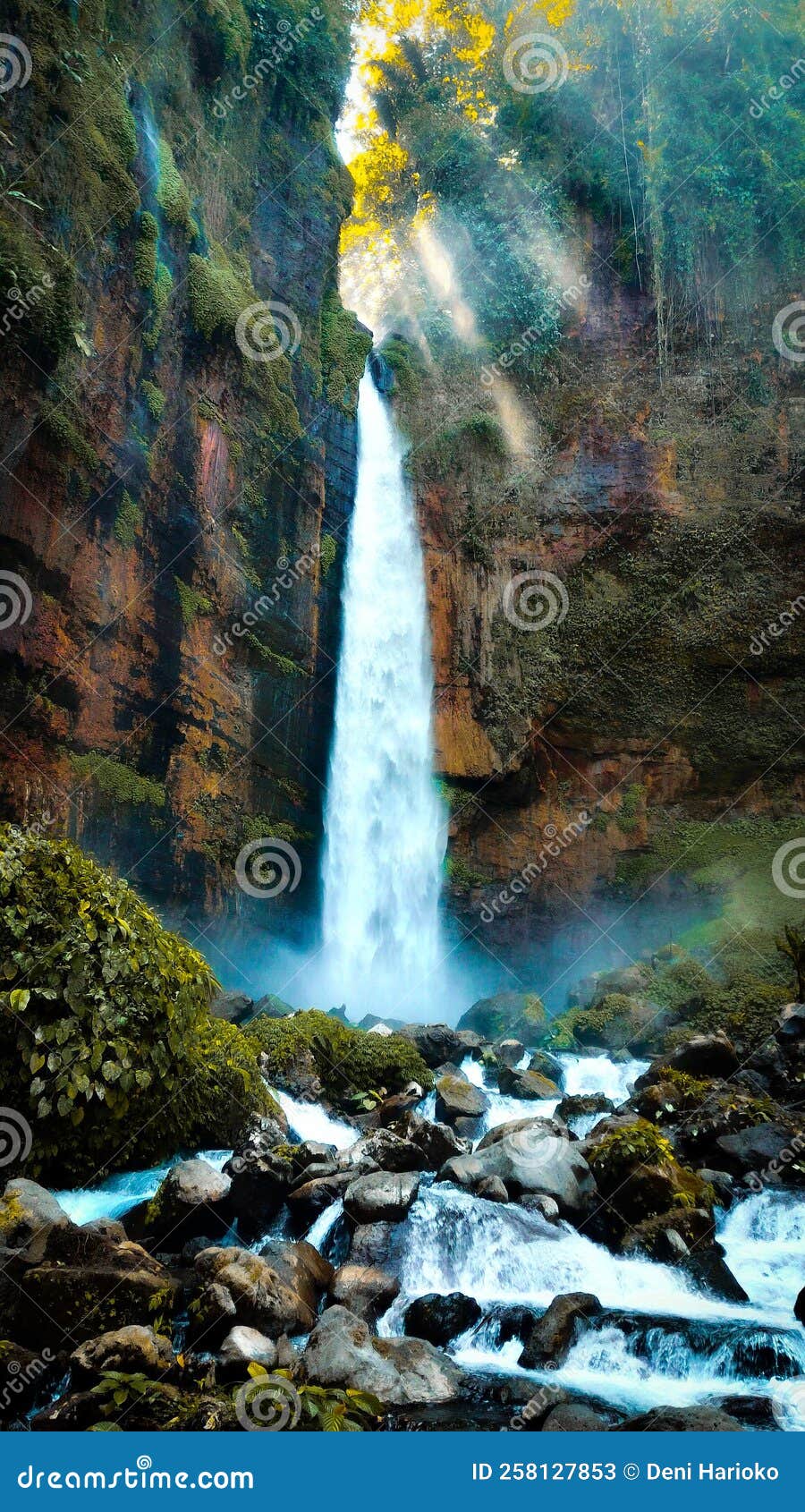 Waterfall stock image. Image of rock, tree, kapas, lumajang - 258127853