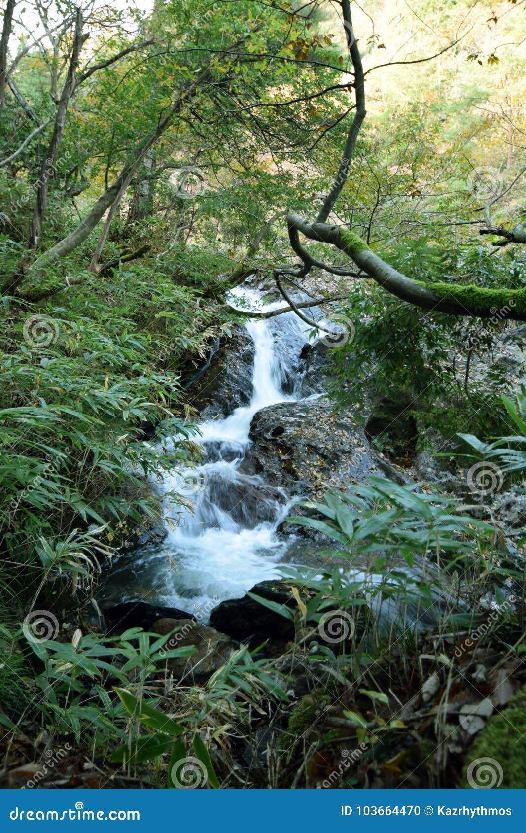 Waterfall in Kyoto Mountain. Stock Photo - Image of japan, green: 103664470