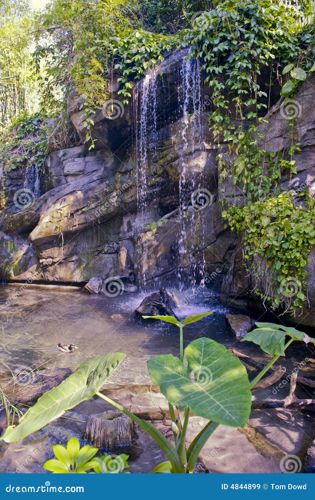 Waterfall Landscape stock image. Image of canals, plants - 4844899
