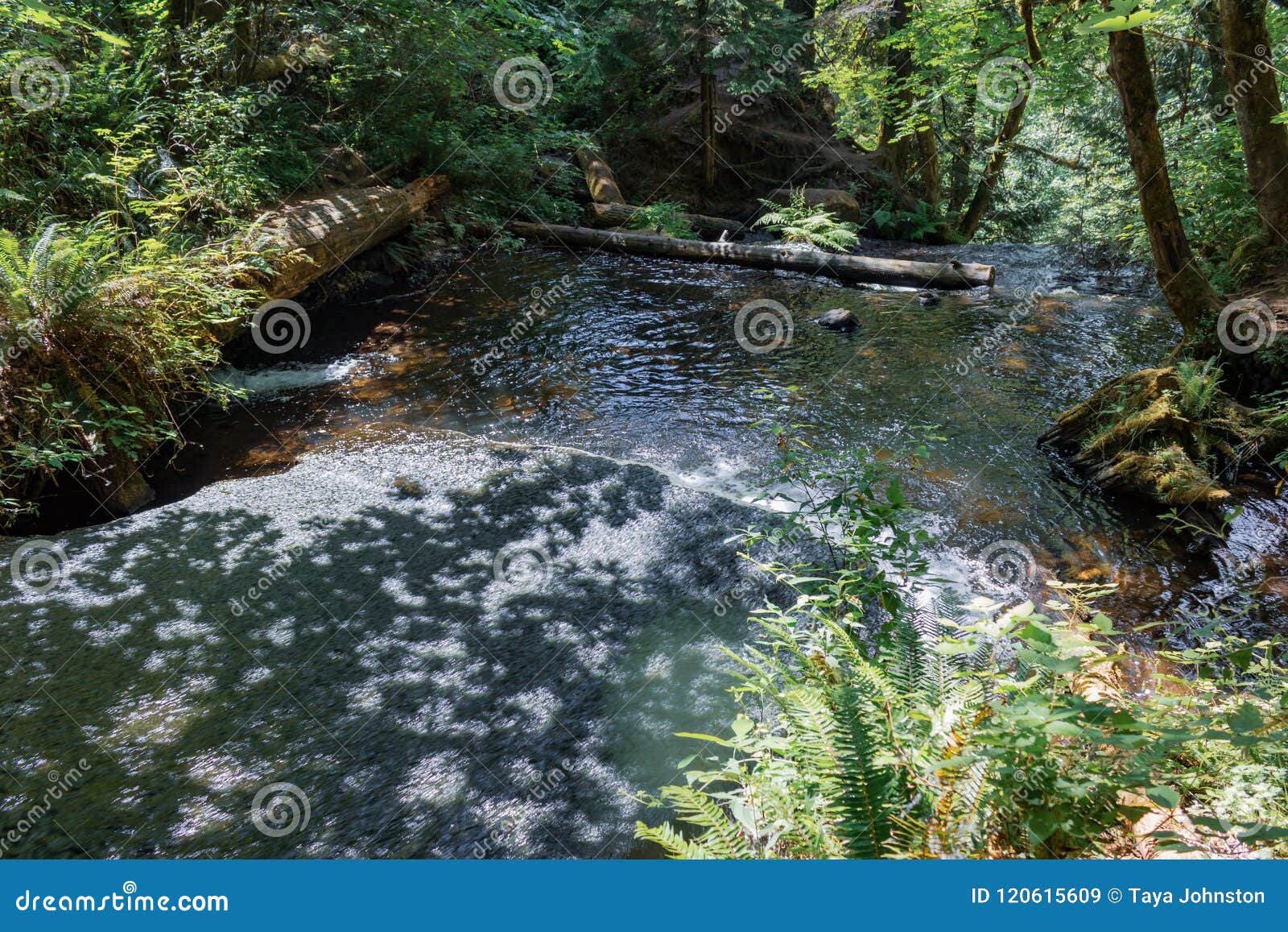 River and Pools before Drop of Waterfall Stock Image - Image of ...