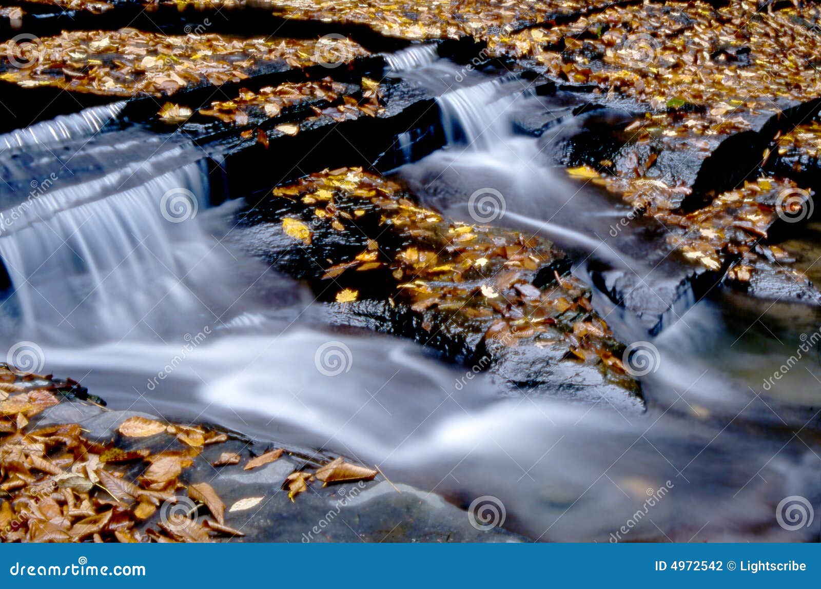 Waterfall with leaves stock photo. Image of descent, height - 4972542