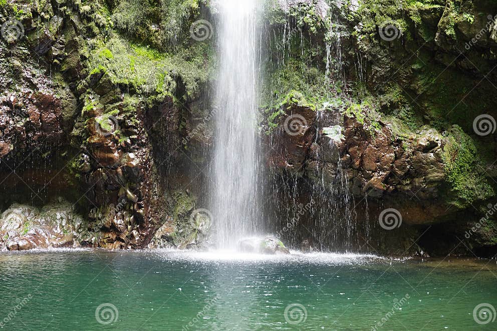 Waterfall in Levada Caldera Verde Stock Photo - Image of nature, laurel ...