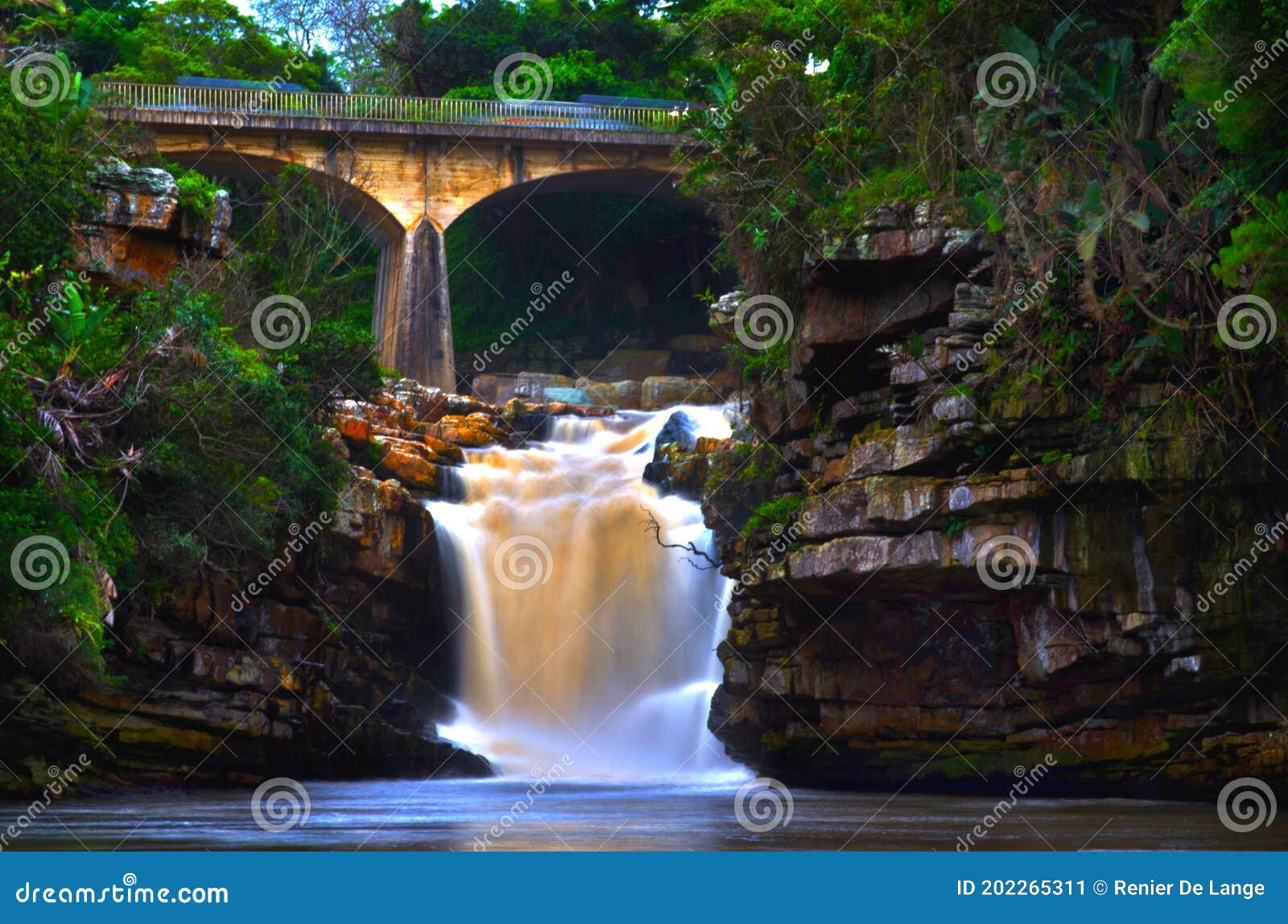 Waterfall of life stock image. Image of pond, tree, jungle - 202265311