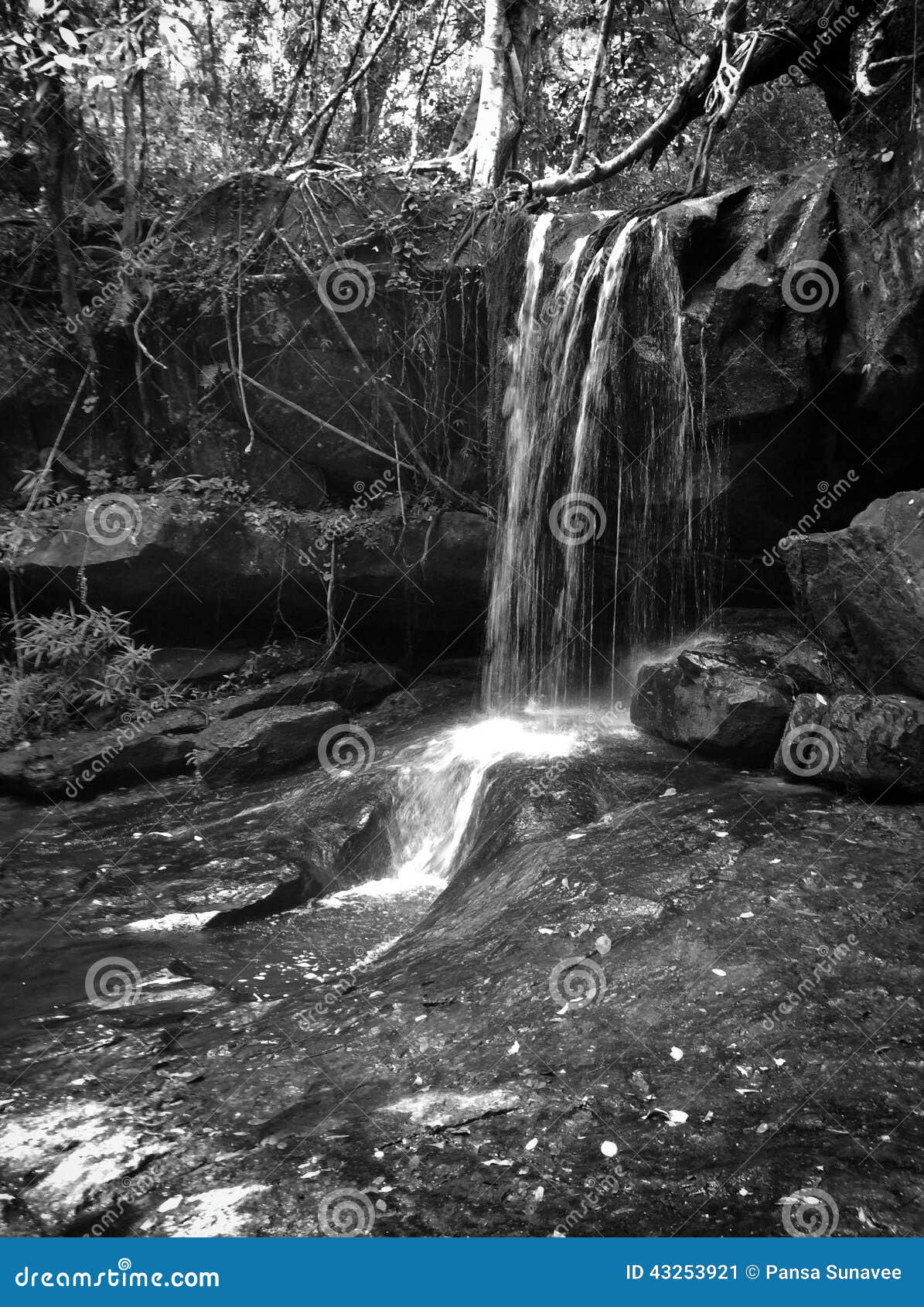 Waterfall stock image. Image of phnom, tree, wood, white - 43253921