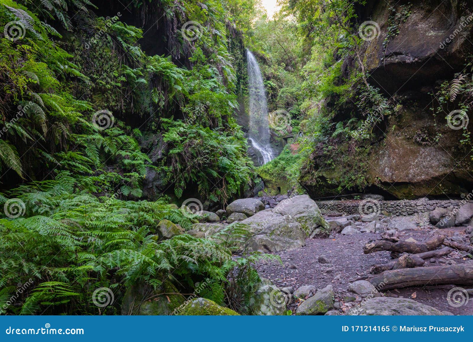 Waterfall at Los Tilos, La Palma, Canary Islands Spain Stock Image ...
