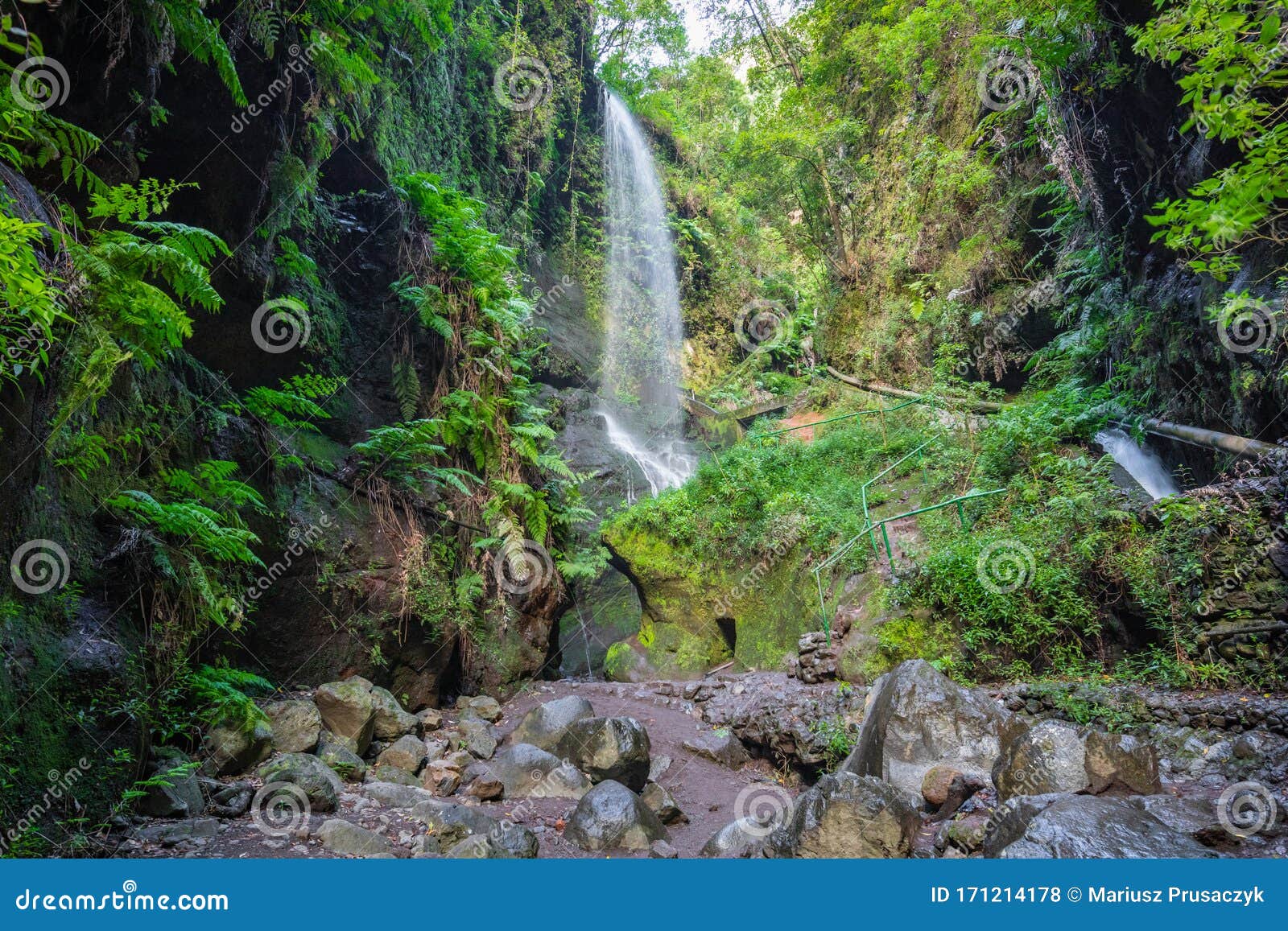 Waterfall At Los Tilos Rain Forest. La Palma. Canary Islands. Stock ...